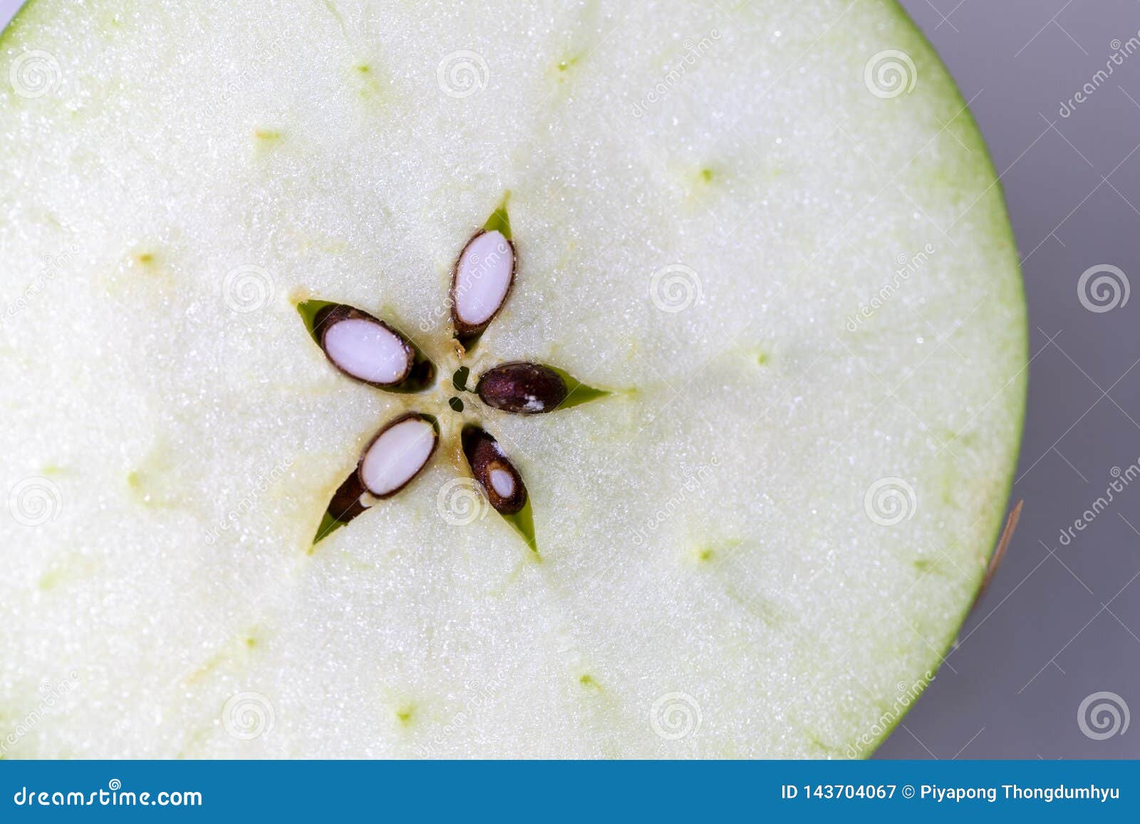 Study of Flowering and Fruit Structures. Stock Image - Image of ...