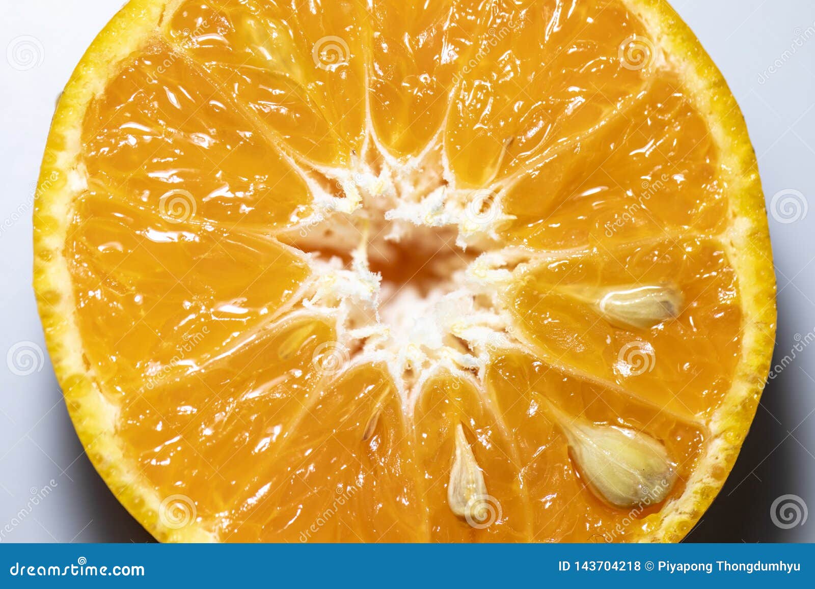 Study of Flowering and Fruit Structures. Stock Photo - Image of fruits ...