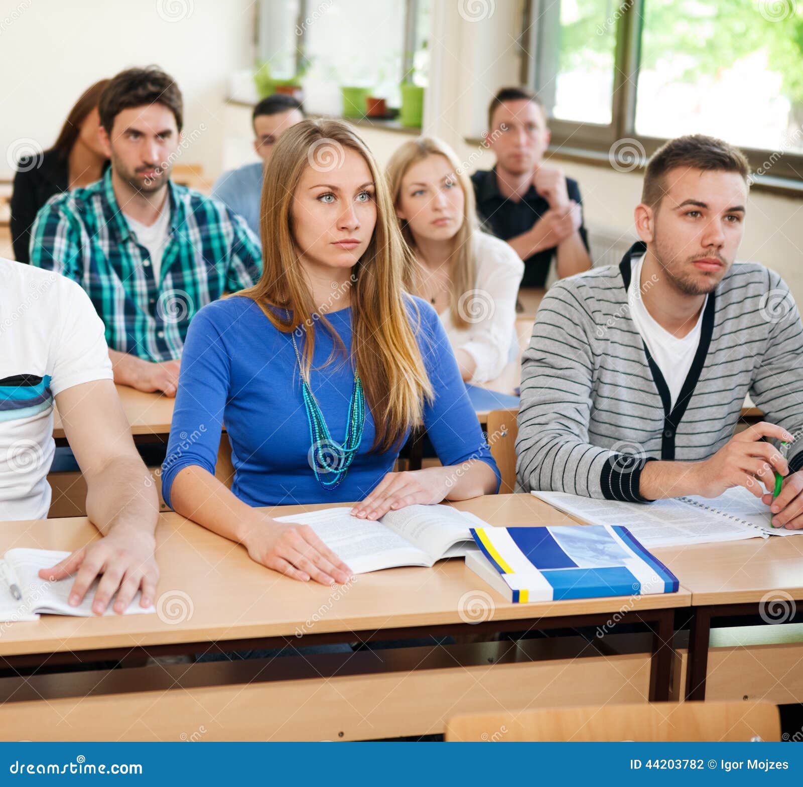 Study group stock photo. Image of seminar, friendship - 44203782