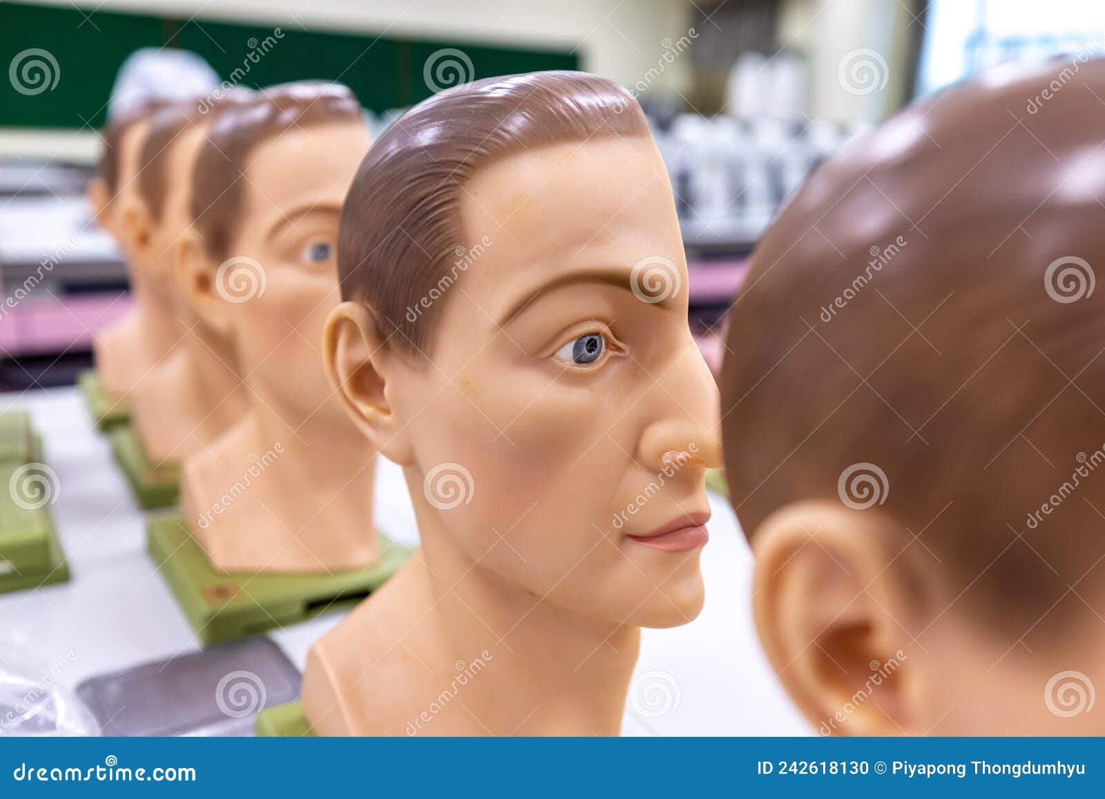 Human Parts Model in Science Lab. Stock Photo - Image of healthy, body ...