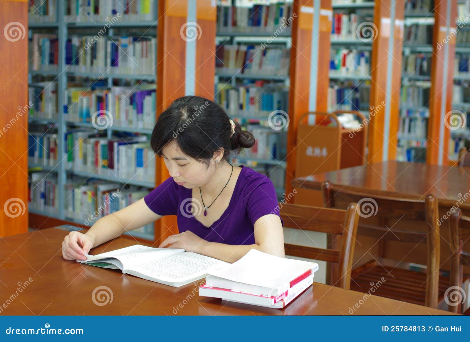 Study in a library stock image. Image of archives, ideas - 25784813
