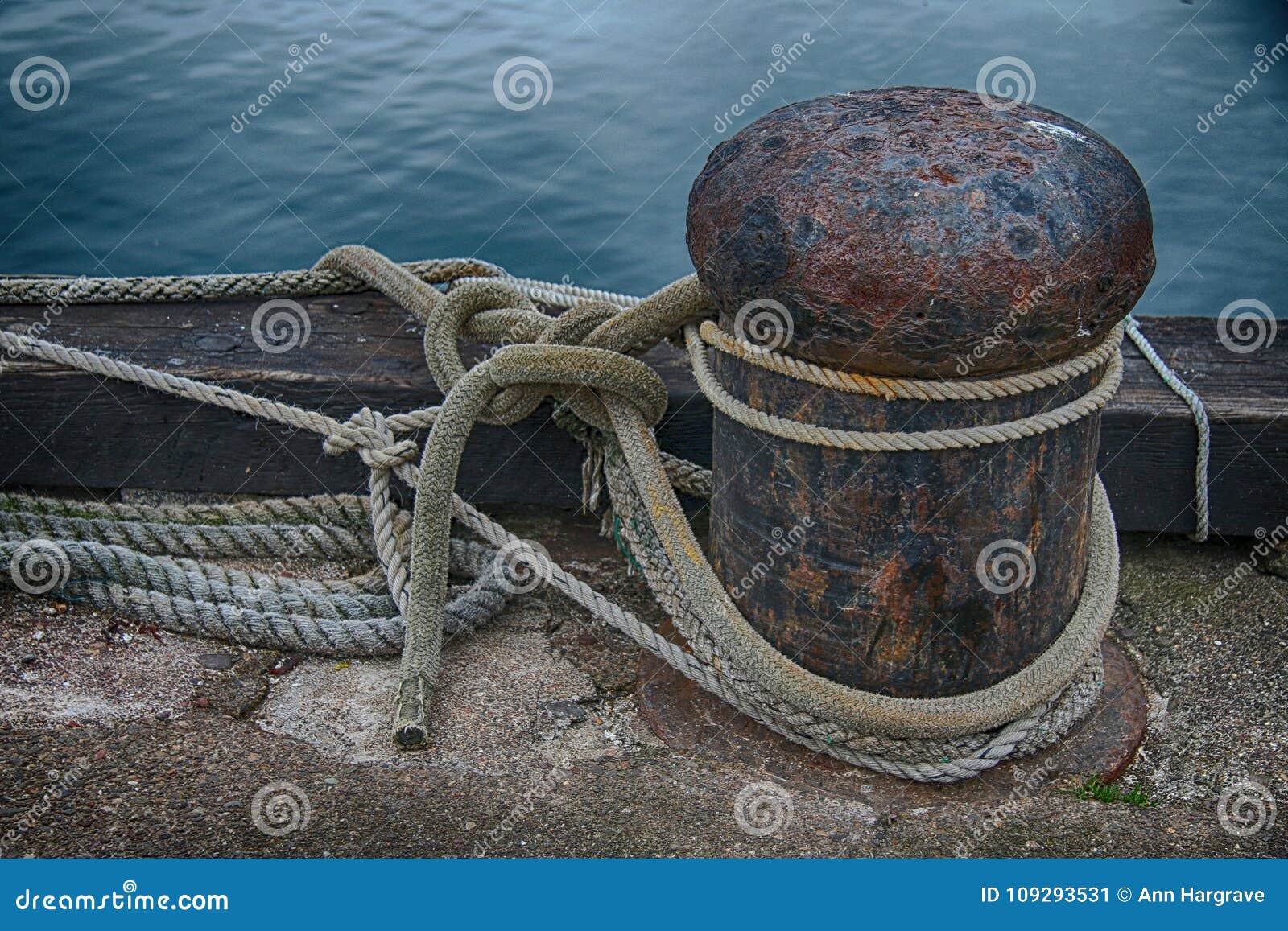 Study of Marine Rope stock image. Image of nautical - 109293531