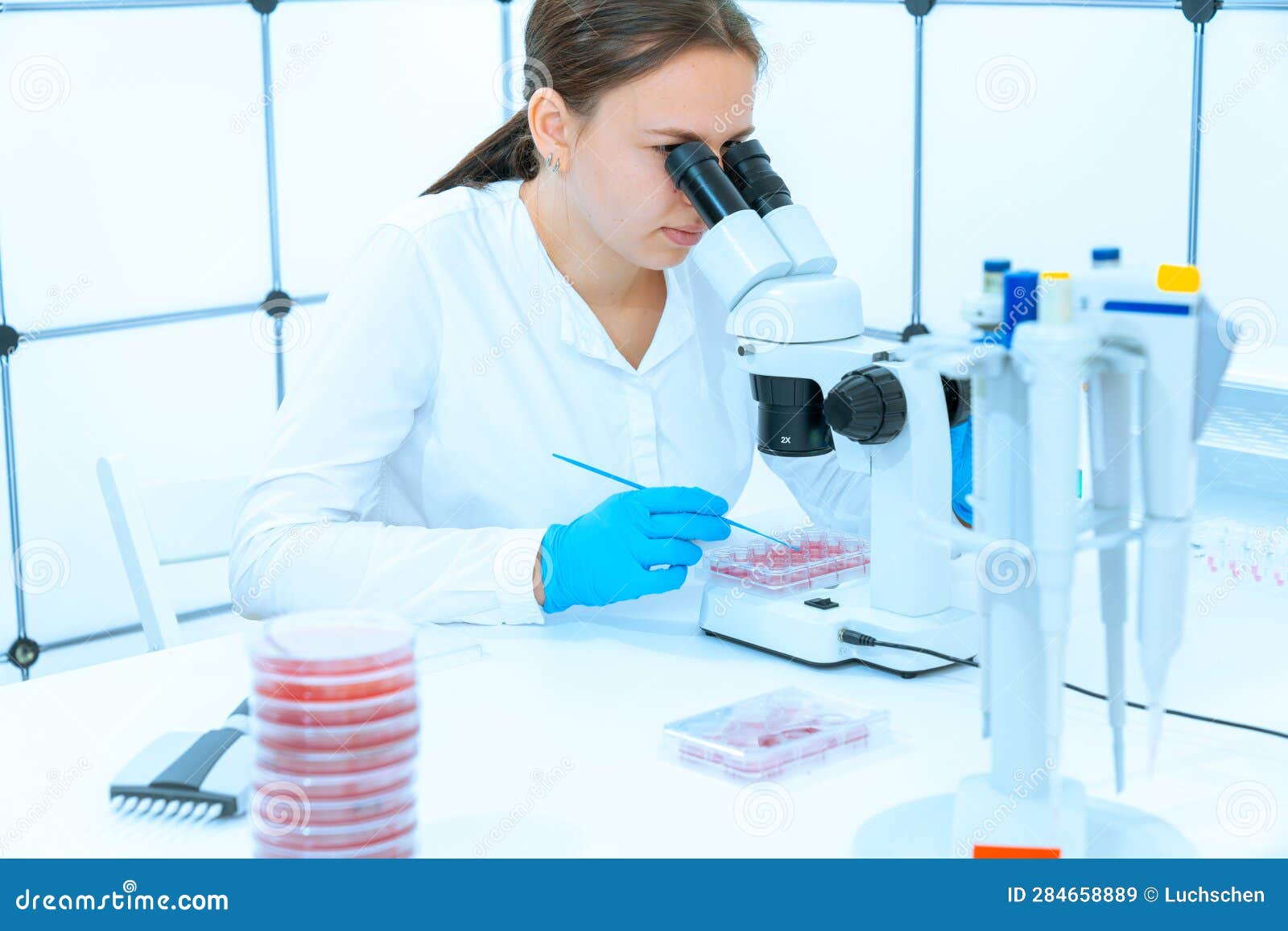 Study of Microbial Ecosystems: Microscopy Helps Study the Interactions ...