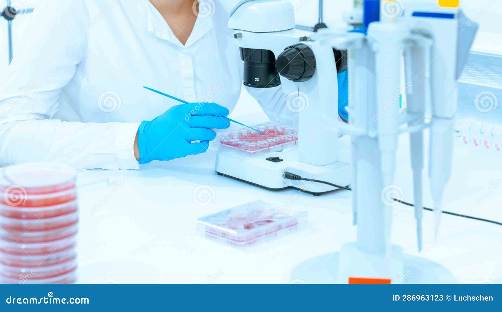 Study of Microbial Ecosystems: Microscopy Helps Study the Interactions ...