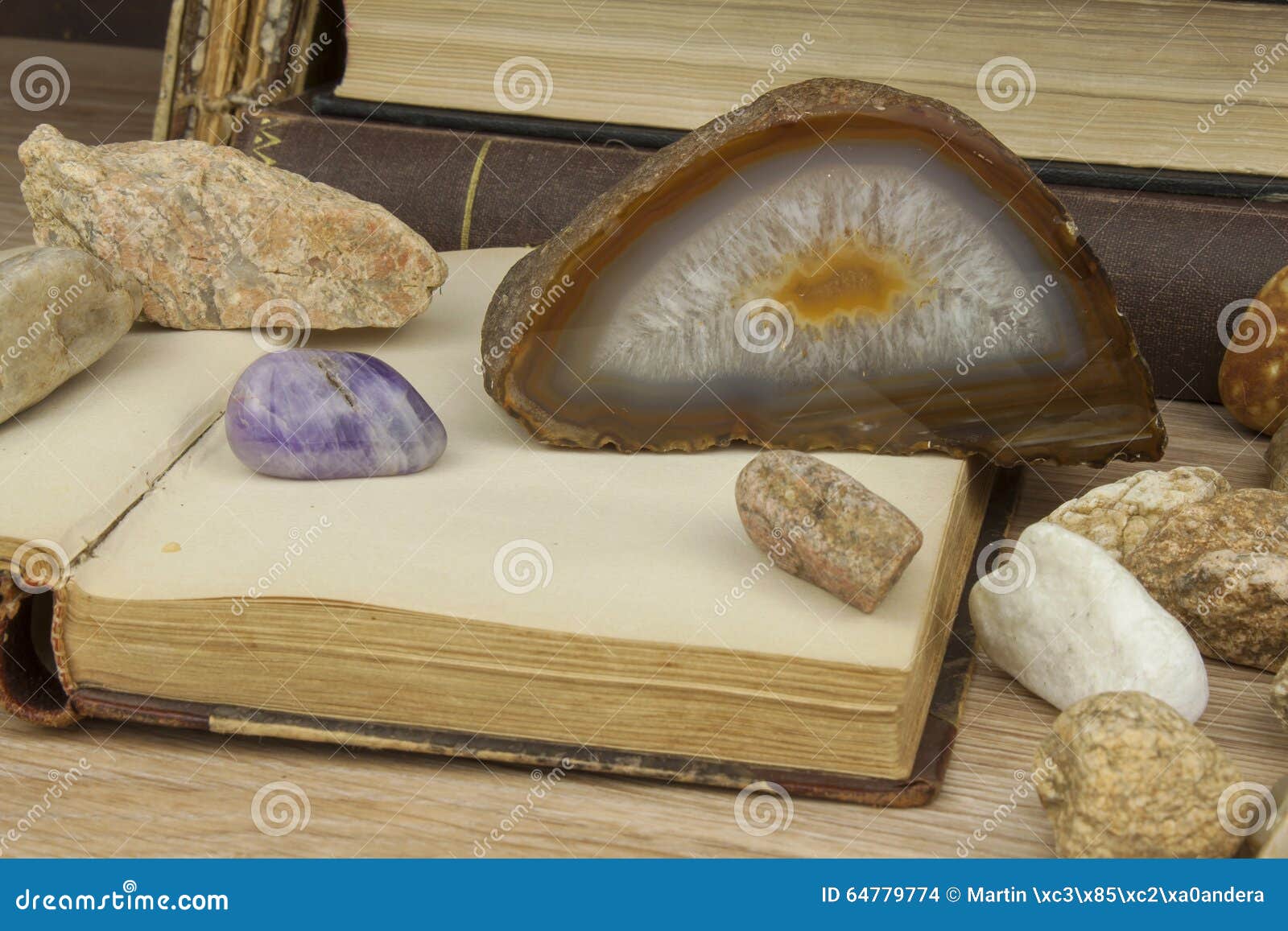 1,017 Science Studies Work Stock Photos - Free & Royalty-Free Stock ...