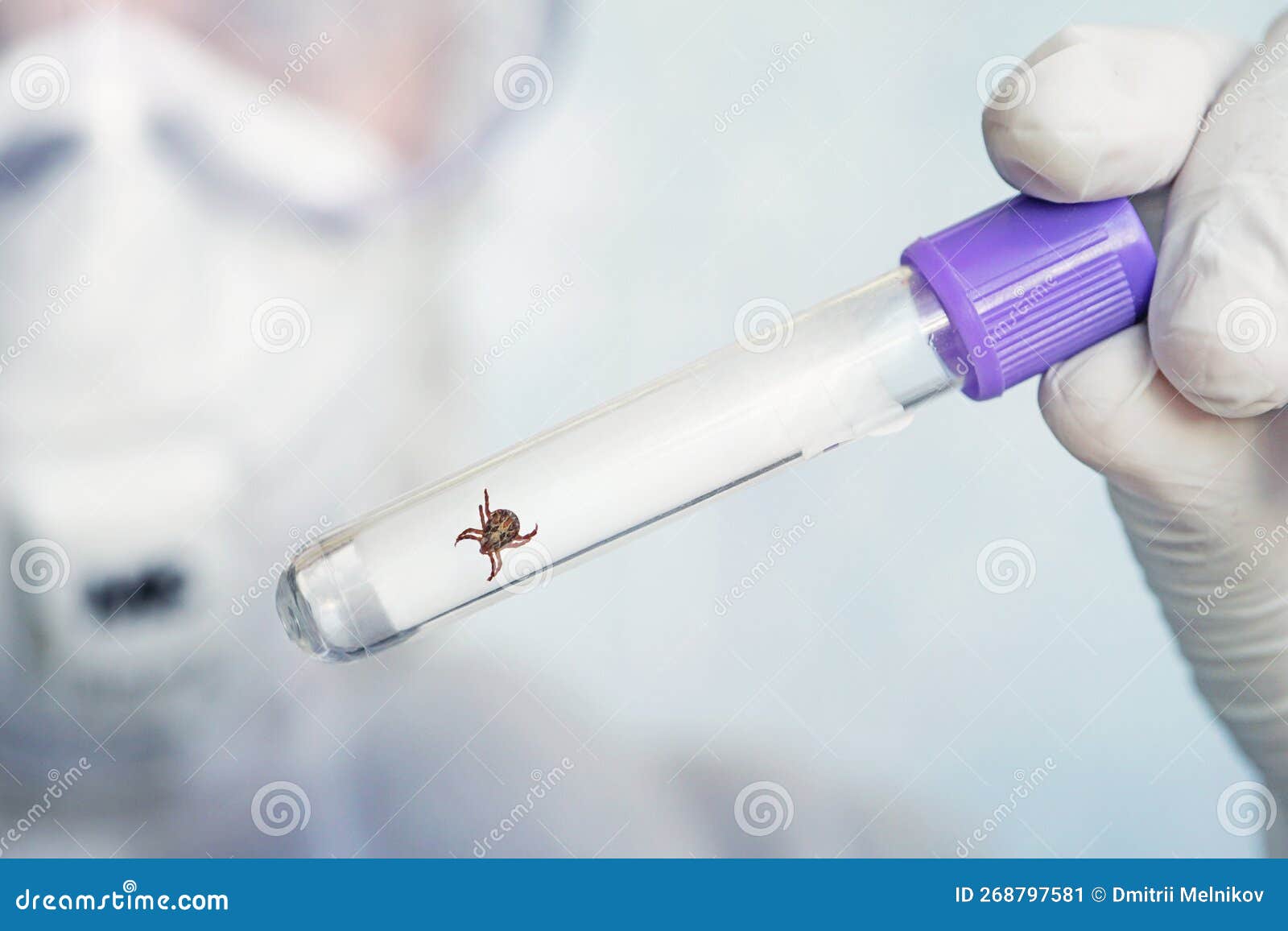 Study of Mites in Scientific Laboratory for Encephalitis or Lyme ...