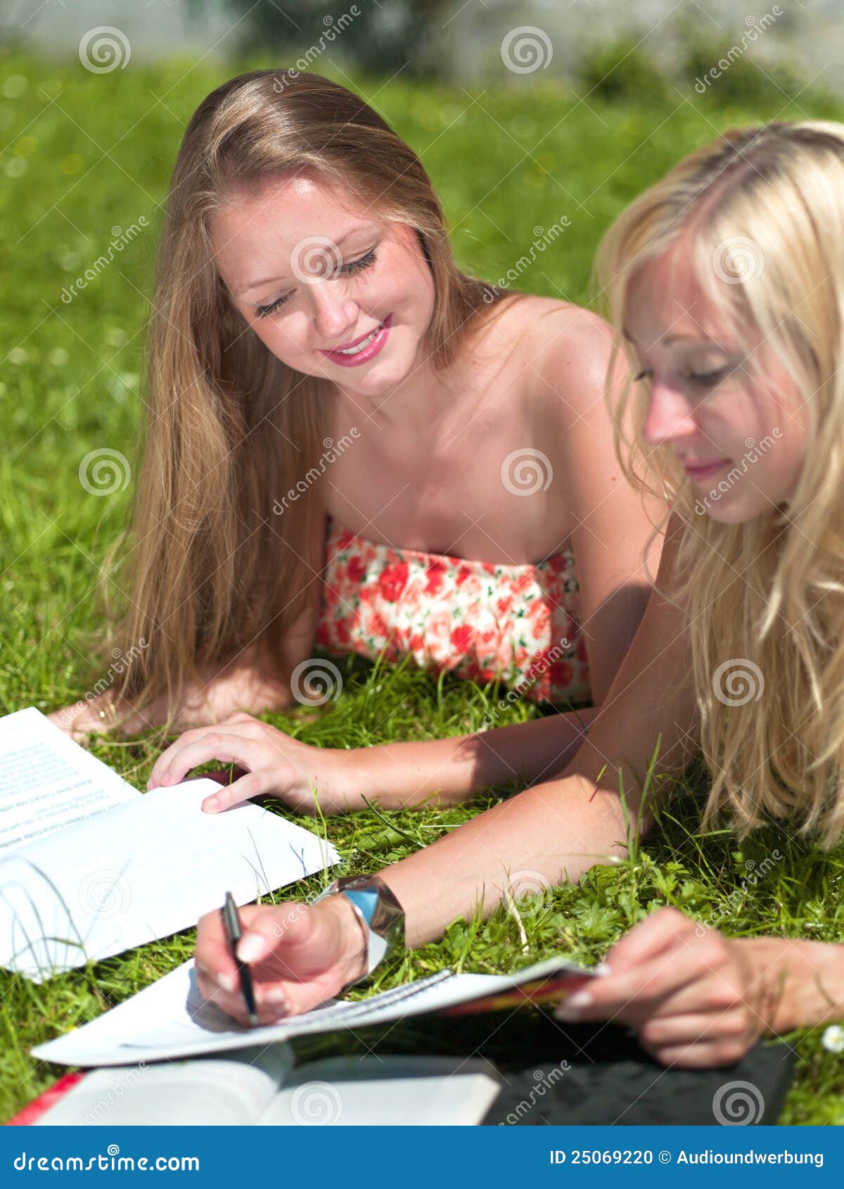 Study outdoors stock photo. Image of group, grass, happy - 25069220