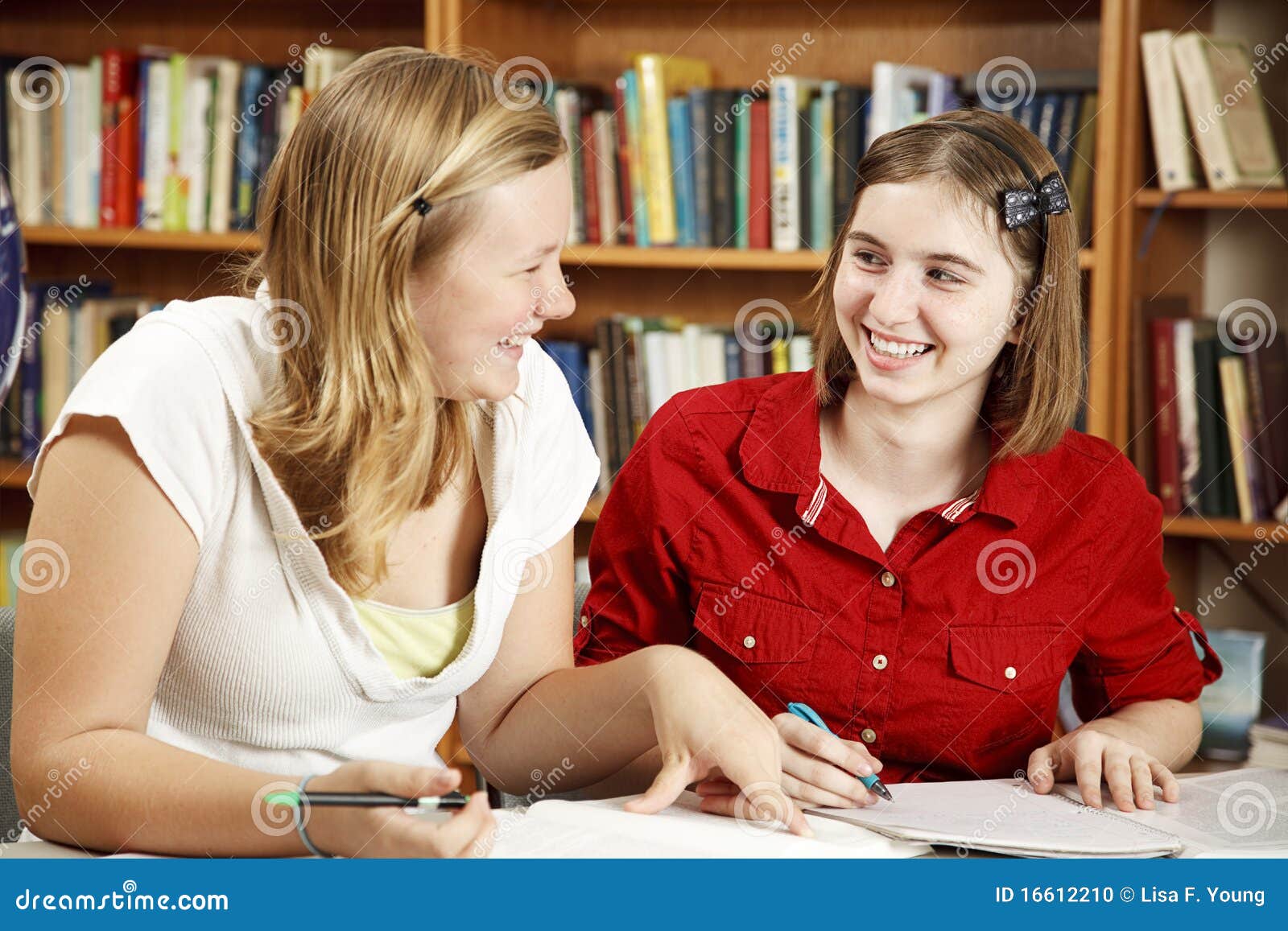 Study Partners stock photo. Image of classroom, friends - 16612210