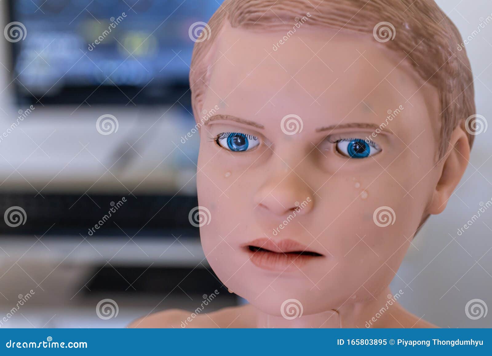 Study of the Physiology of the Model and the Parts of the Human Model ...