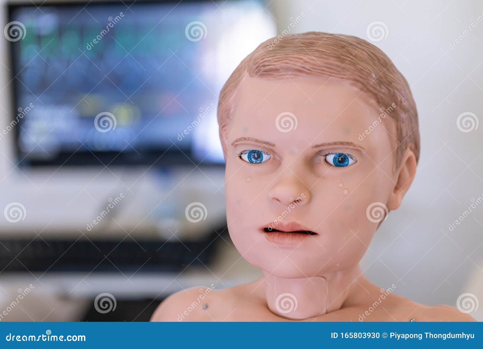 Study of the Physiology of the Model and the Parts of the Human Model ...