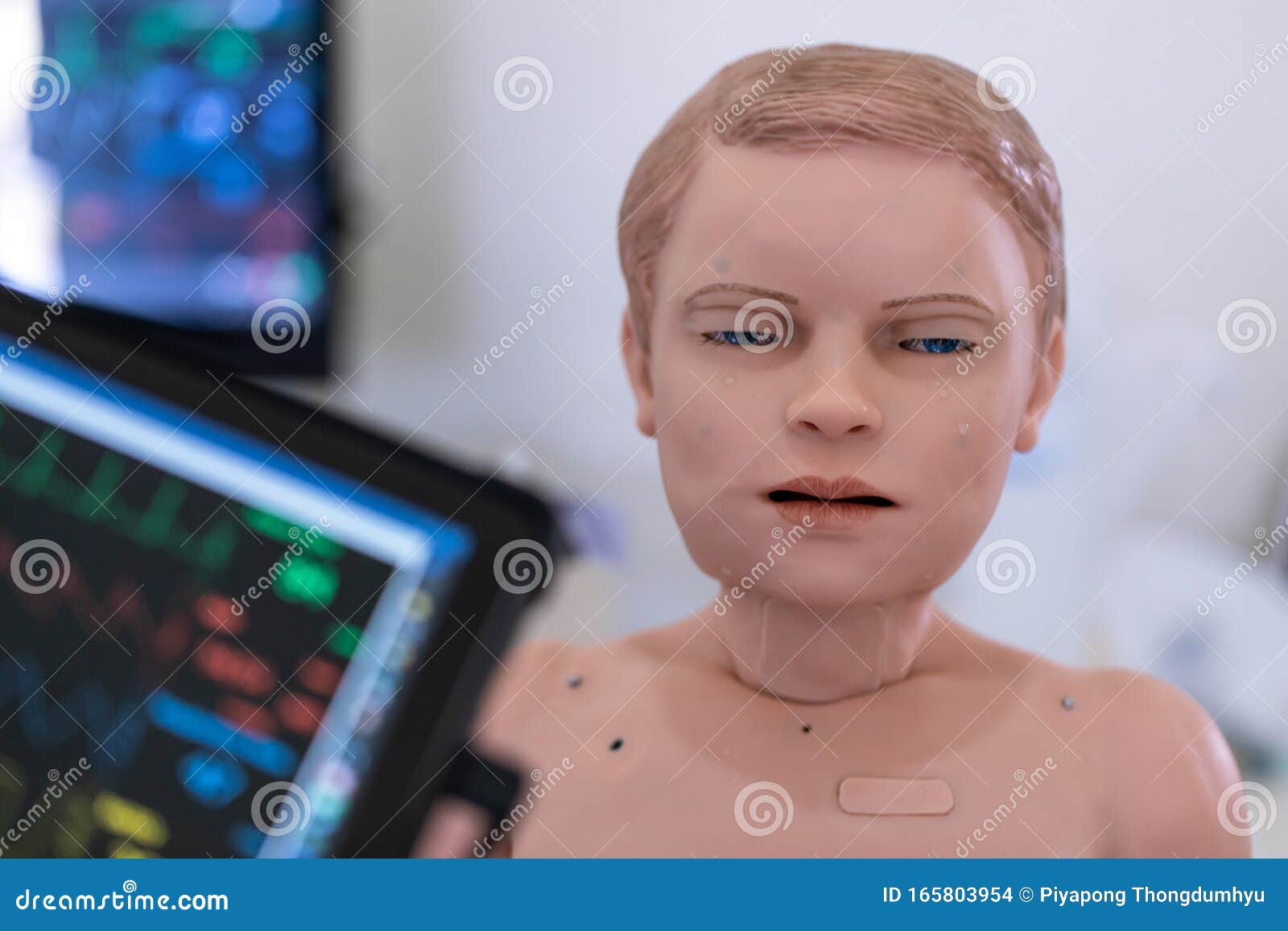 Study of the Physiology of the Model and the Parts of the Human Model ...