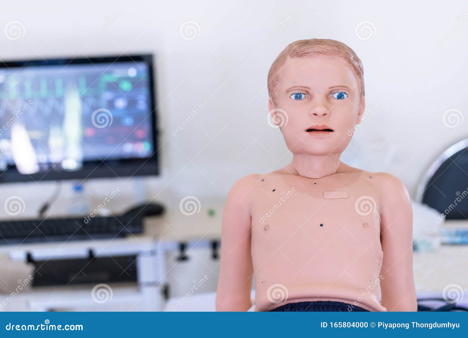 Study of the Physiology of the Model and the Parts of the Human Model ...