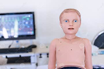 Study of the Physiology of the Model and the Parts of the Human Model ...