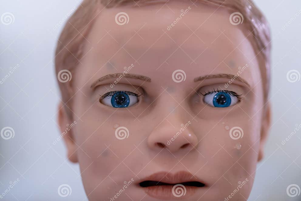 Study of the Physiology of the Model and the Parts of the Human Model ...