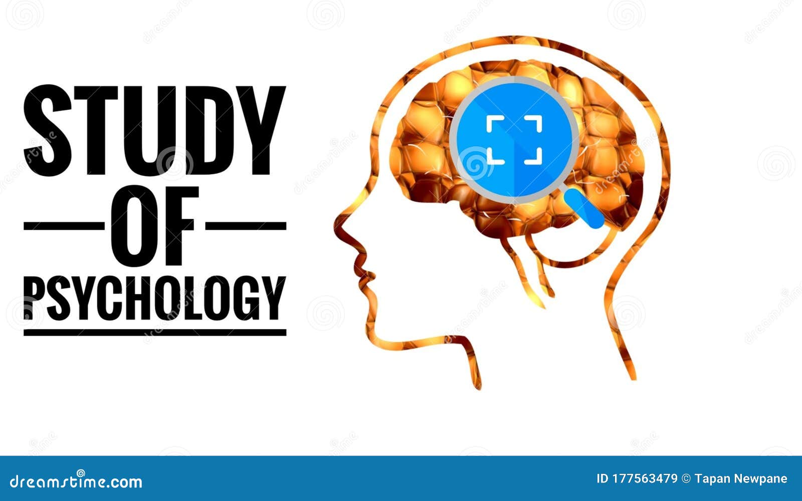 Study of Psychology ,searching Mind Stock Image - Image of creative ...