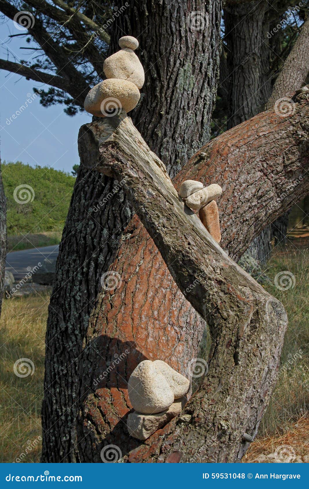 Study of Rocks and Boulders Stock Photo - Image of natural, igneous ...