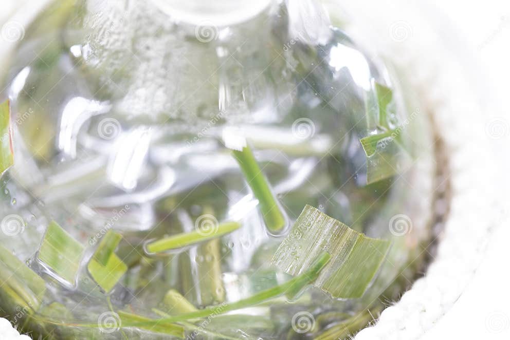 Separating by Filtration and Evaporation Condensation the Component ...