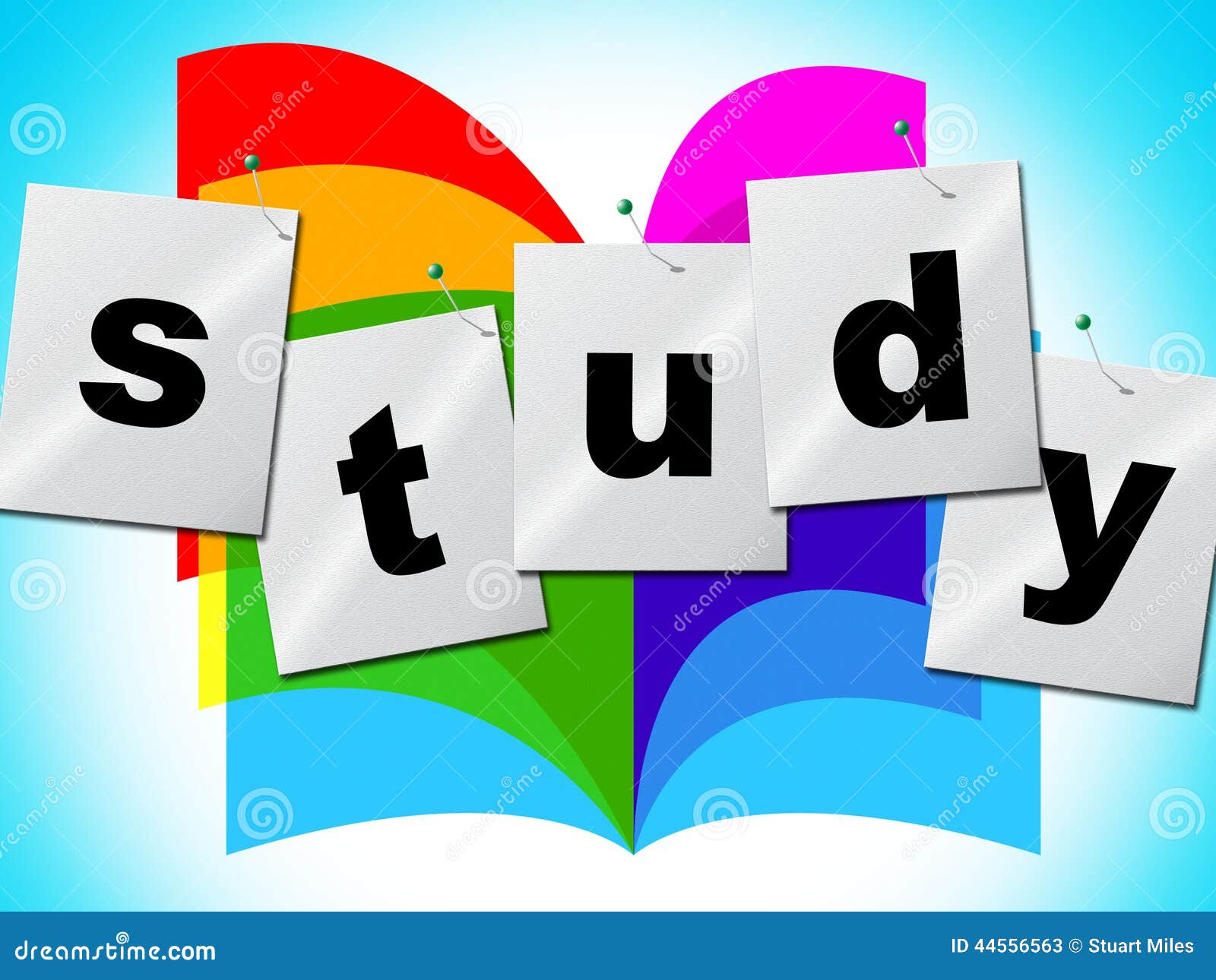 Study Studying Means College Training and Development Stock ...