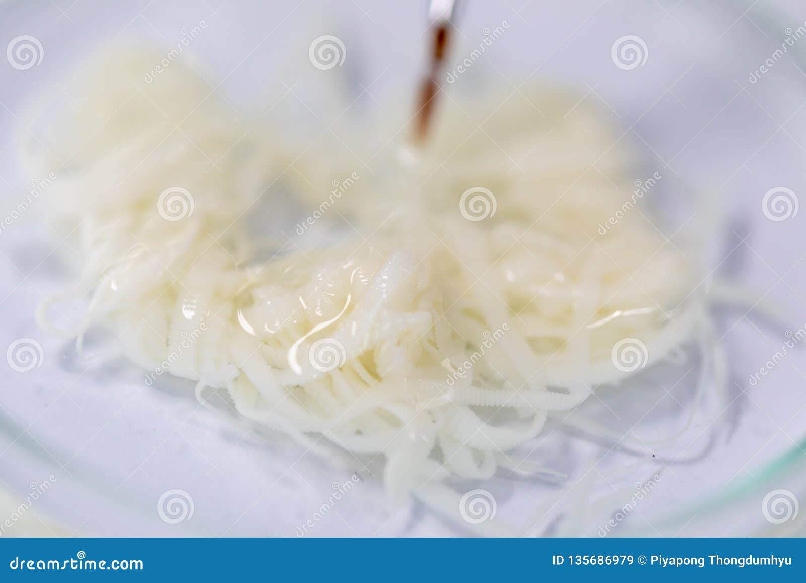 The Study of Tapeworm Infection is Caused by Ingesting Food or Water ...