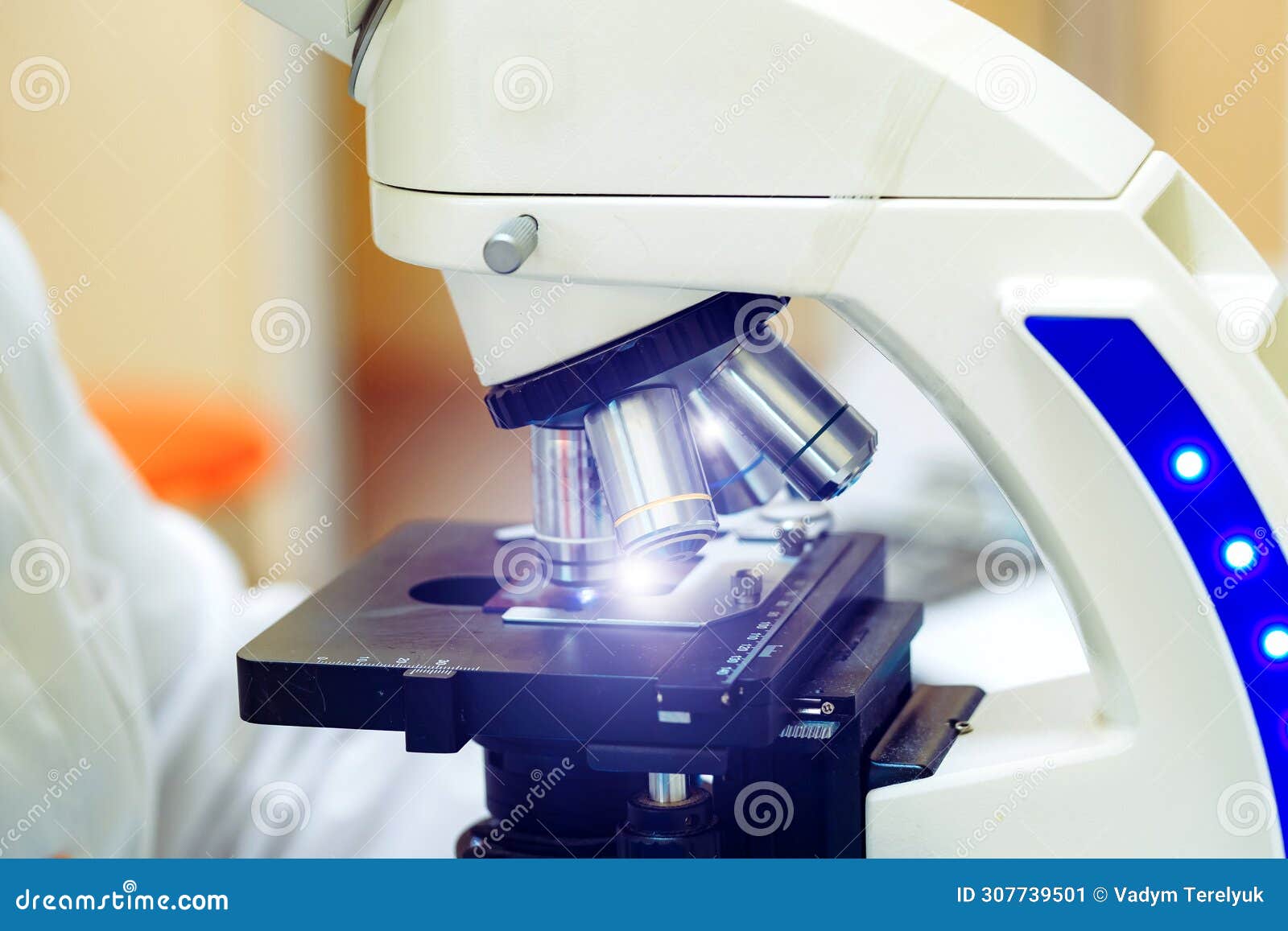 Study Under the Microscope in the Laboratory. Hands in White Gloves ...