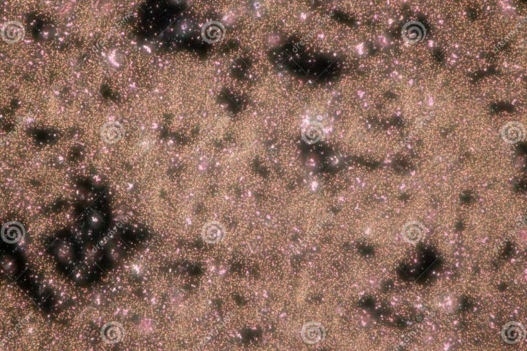 Study of White Blood Cells are the Cells of the Immune System Under the ...