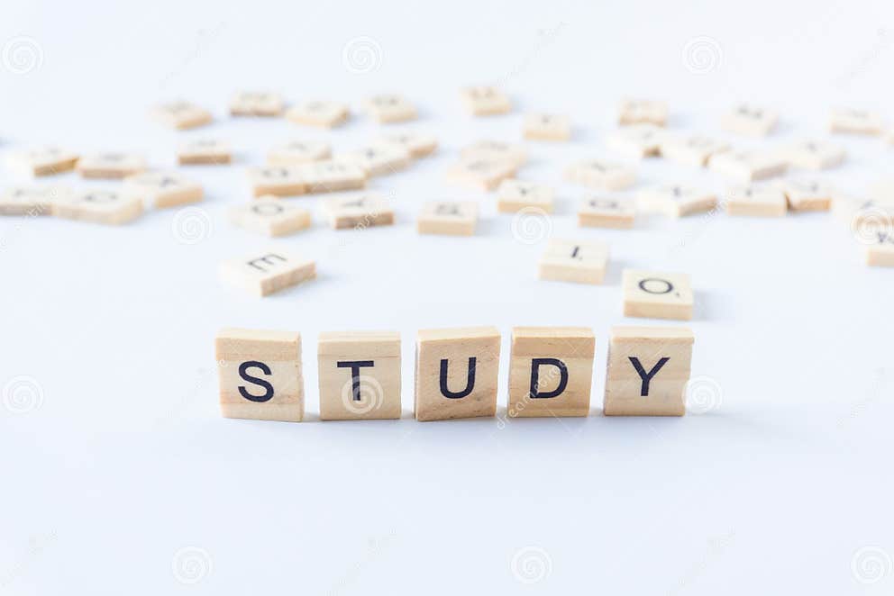 STUDY Cube Blocks on White Background. Wooden Blocks with the Word ...