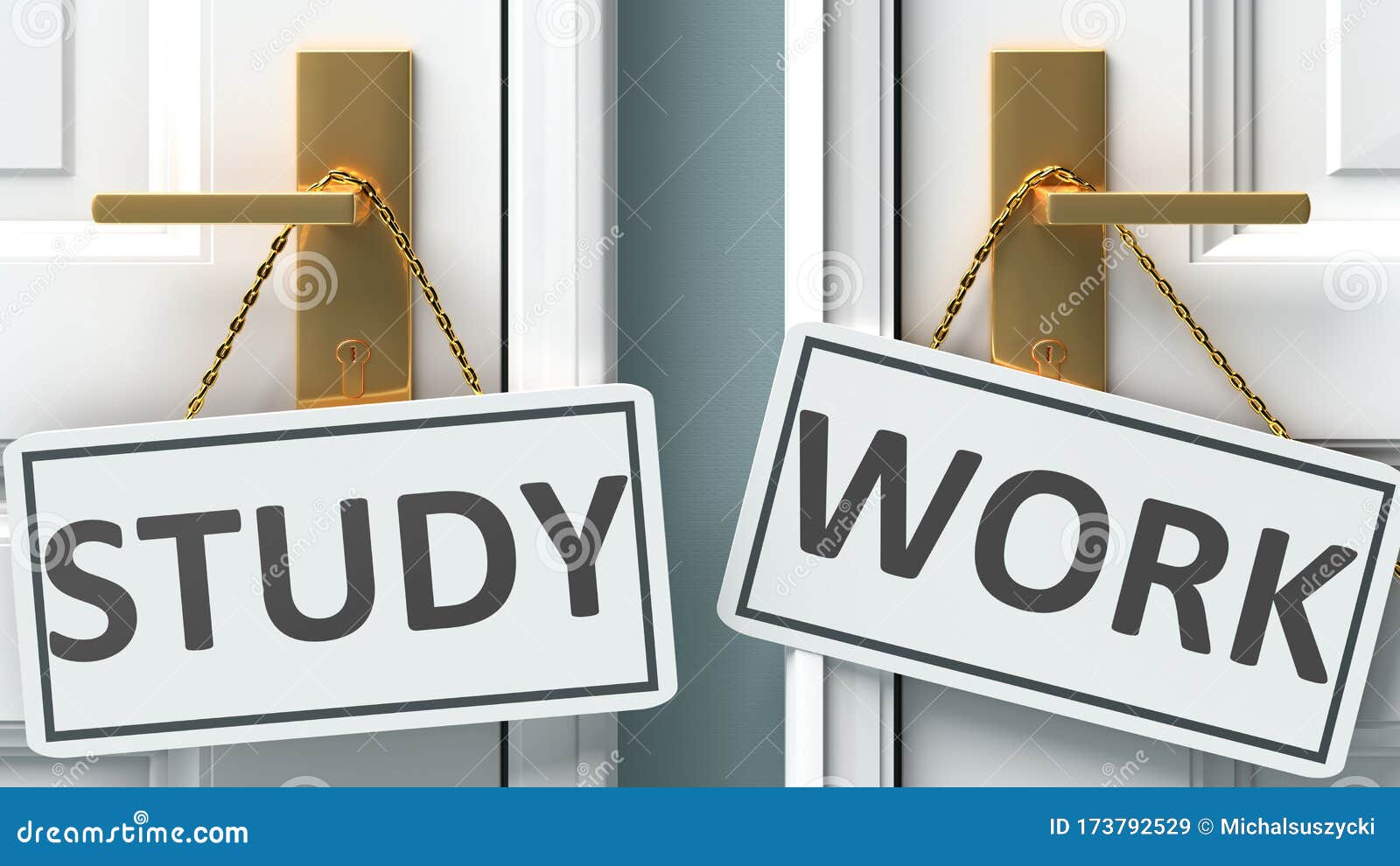 Study or Work As a Choice in Life - Pictured As Words Study, Work on ...