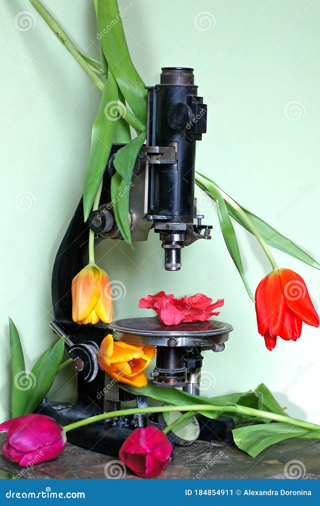 Studying Colors Under a Microscope Close Up Stock Image - Image of ...