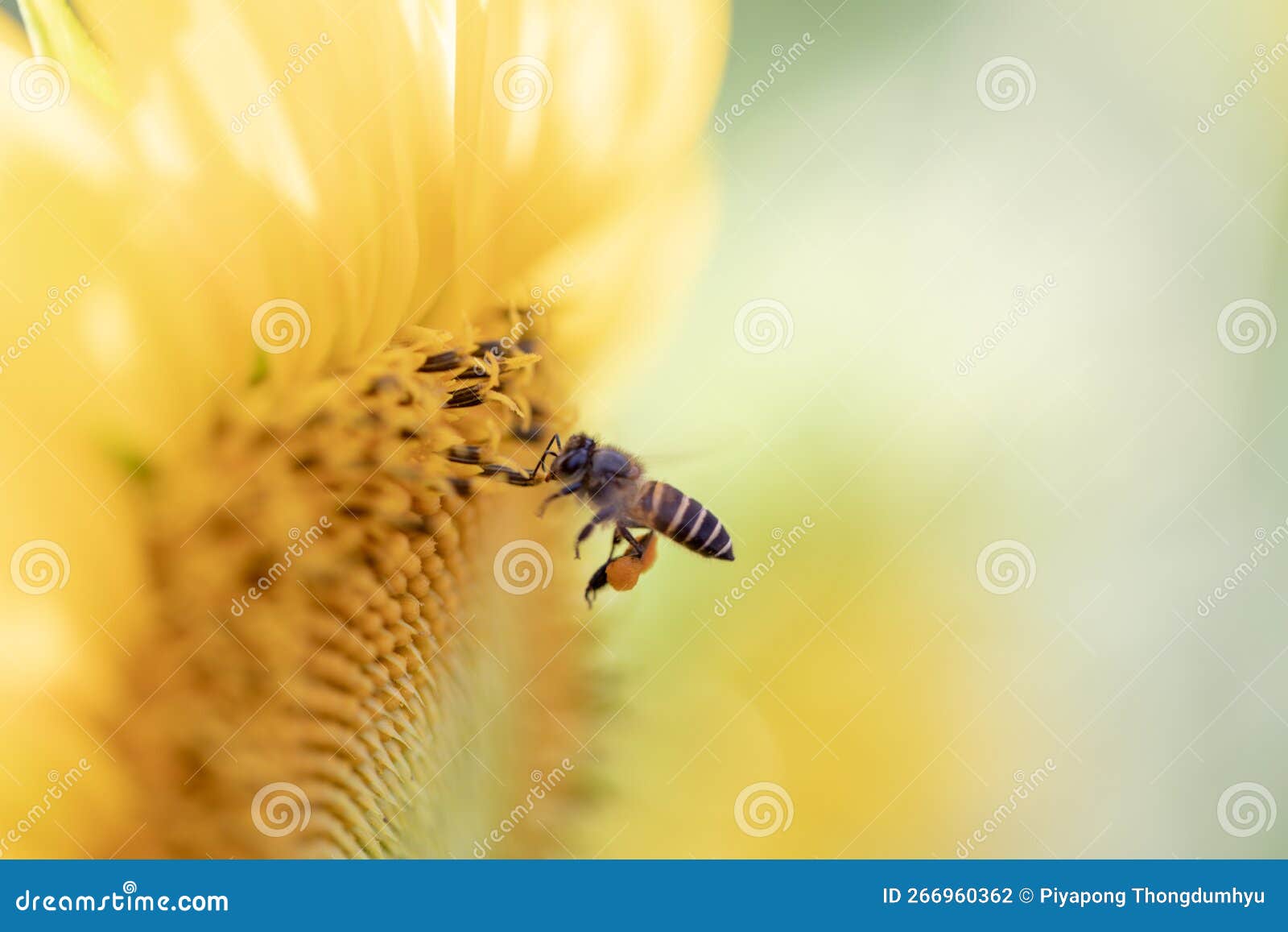 Studying Different Animals in Science Lab. Stock Photo - Image of ...