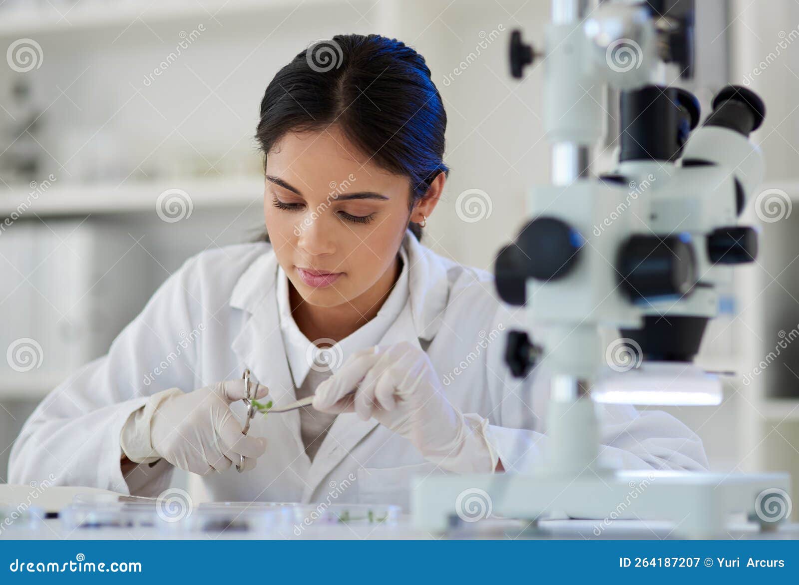 Studying the Different Compositions of Plants. a Young Scientist ...