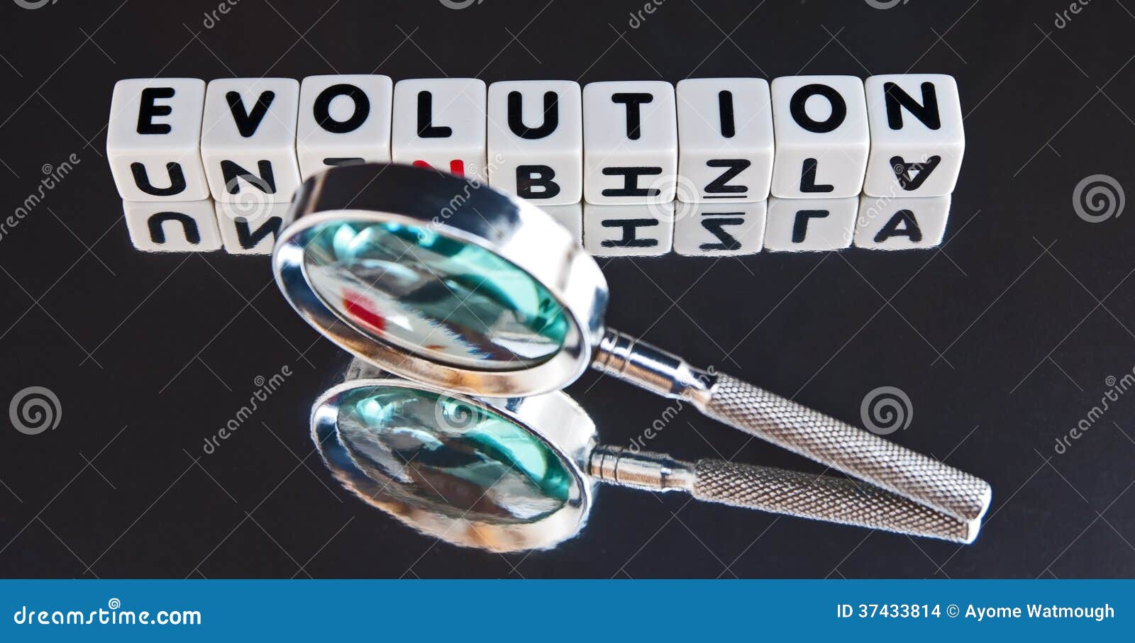 Homo Sapiens, Text Words Typography Written With Wooden Letter On Black ...