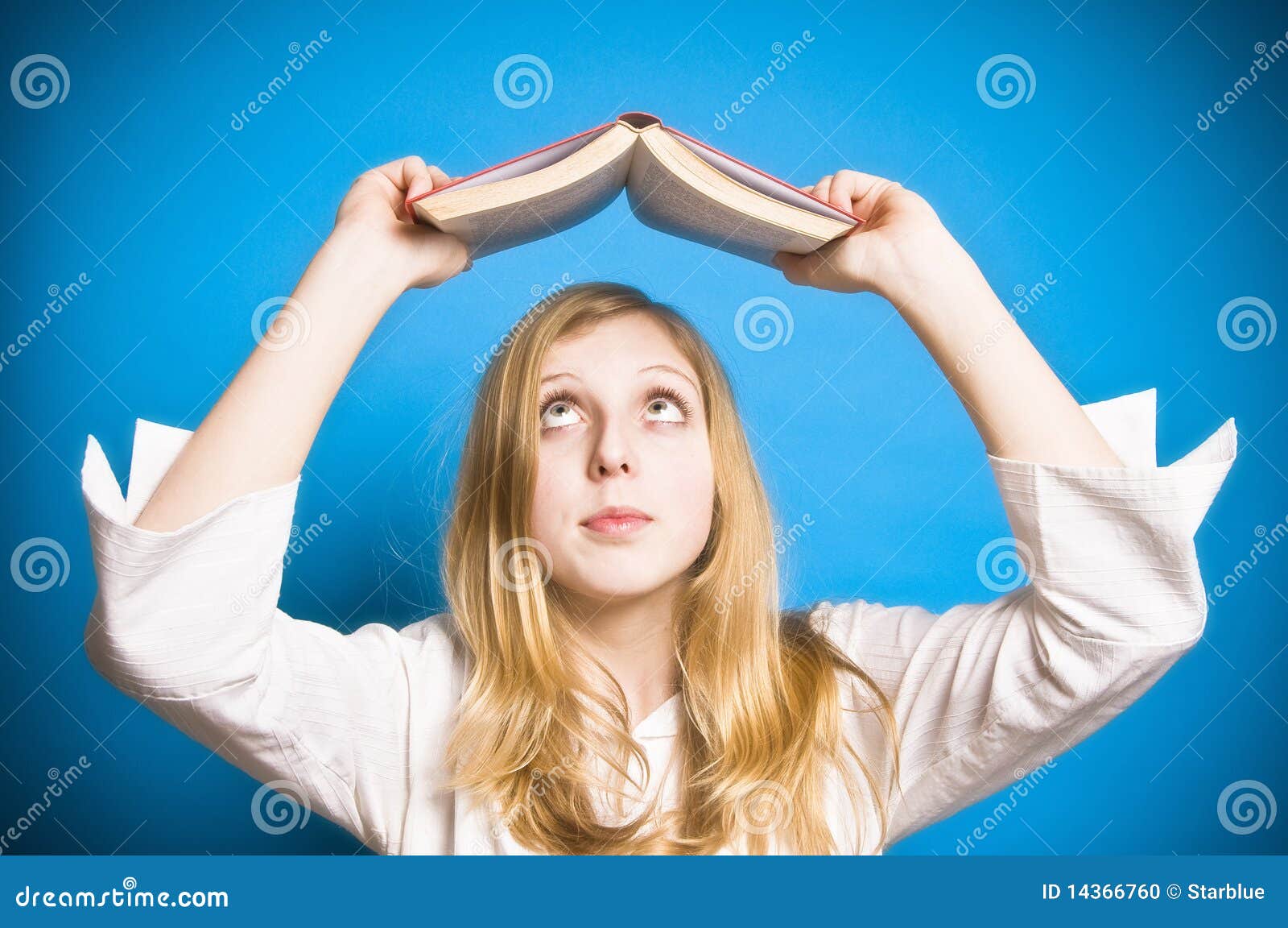 Studying hard stock photo. Image of people, studying - 14366760