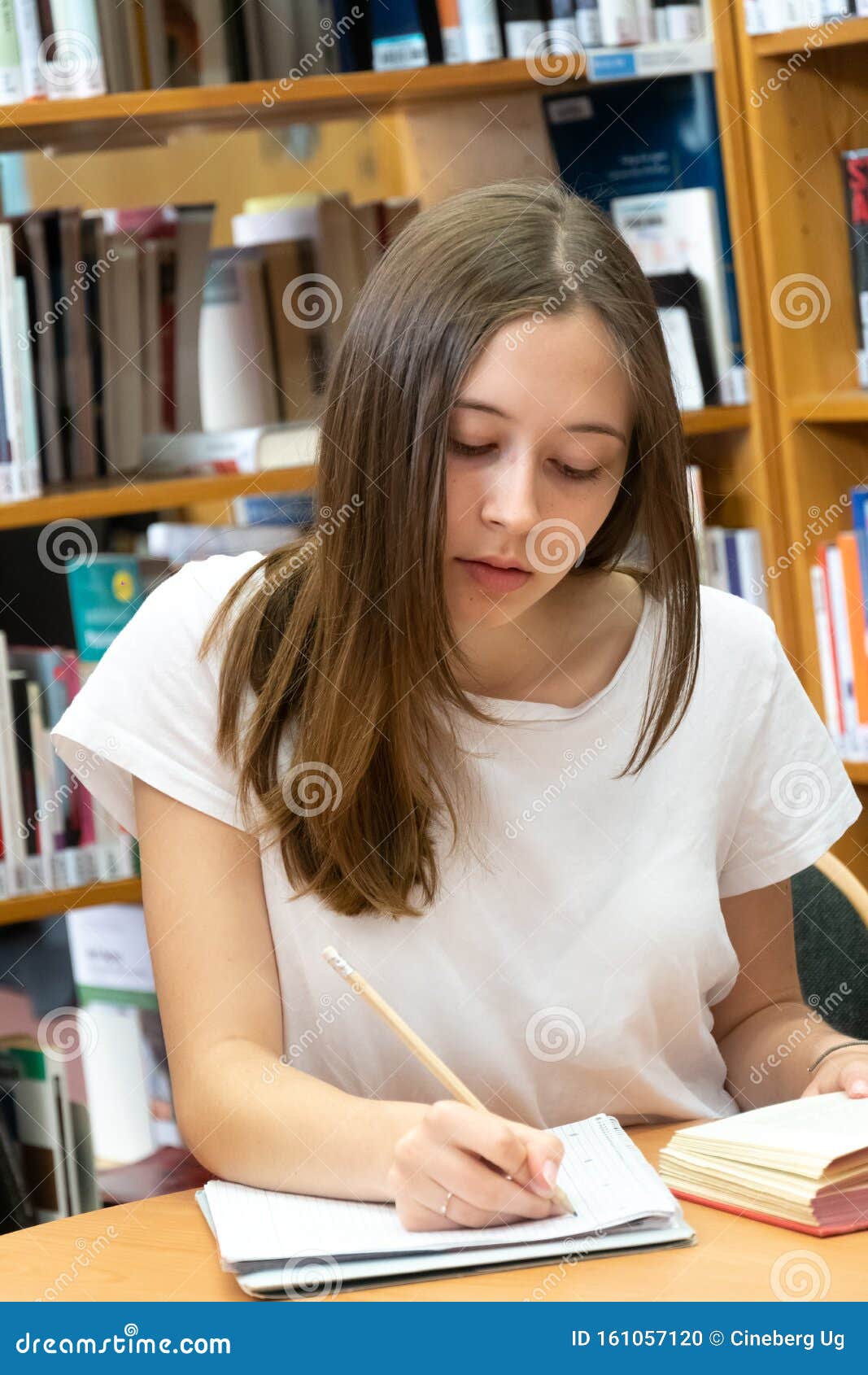 Studying hard stock photo. Image of casual, paper, learn - 161057120