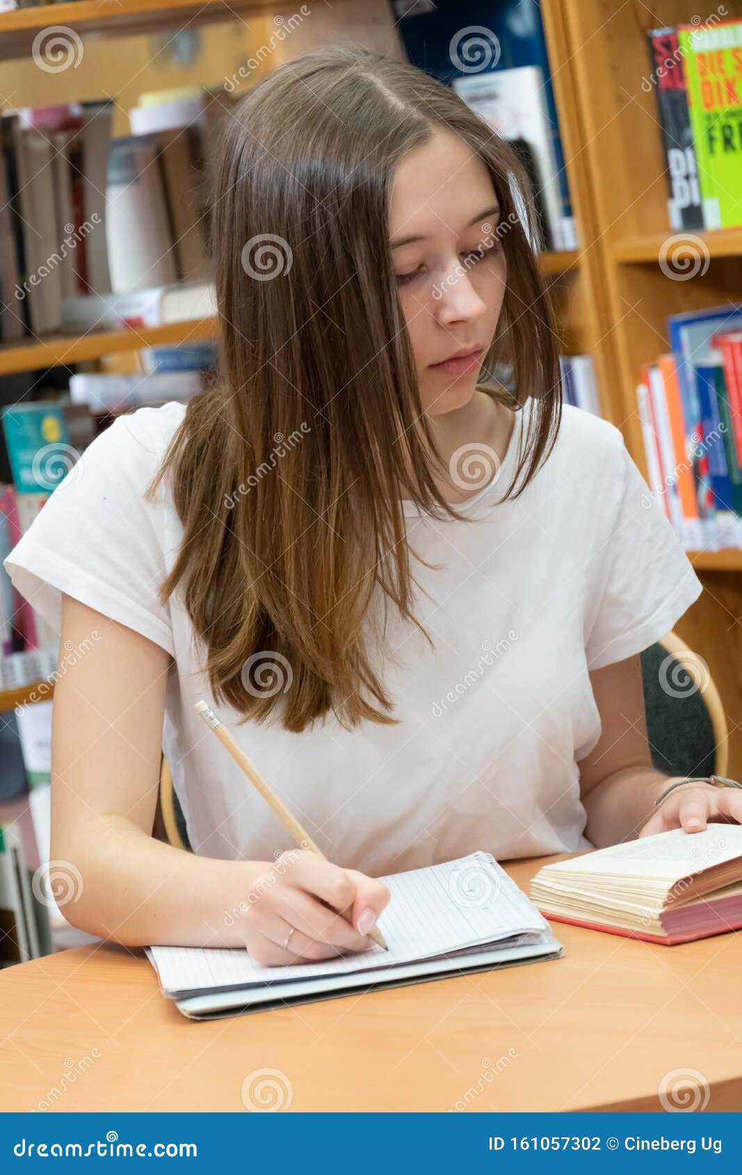Studying hard stock photo. Image of paperwork, knowledge - 161057302