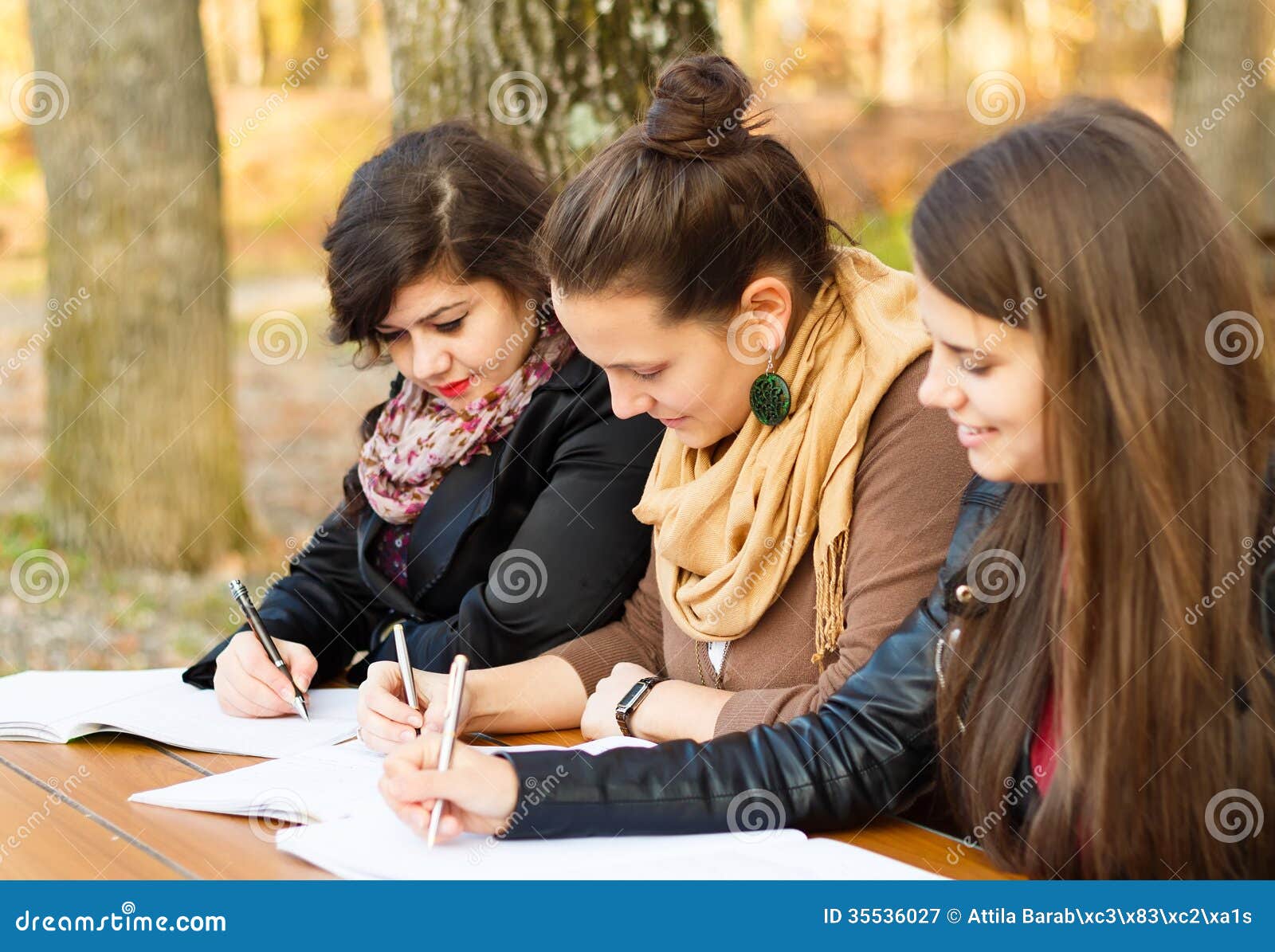 Studying hard stock image. Image of final, preparing - 35536027