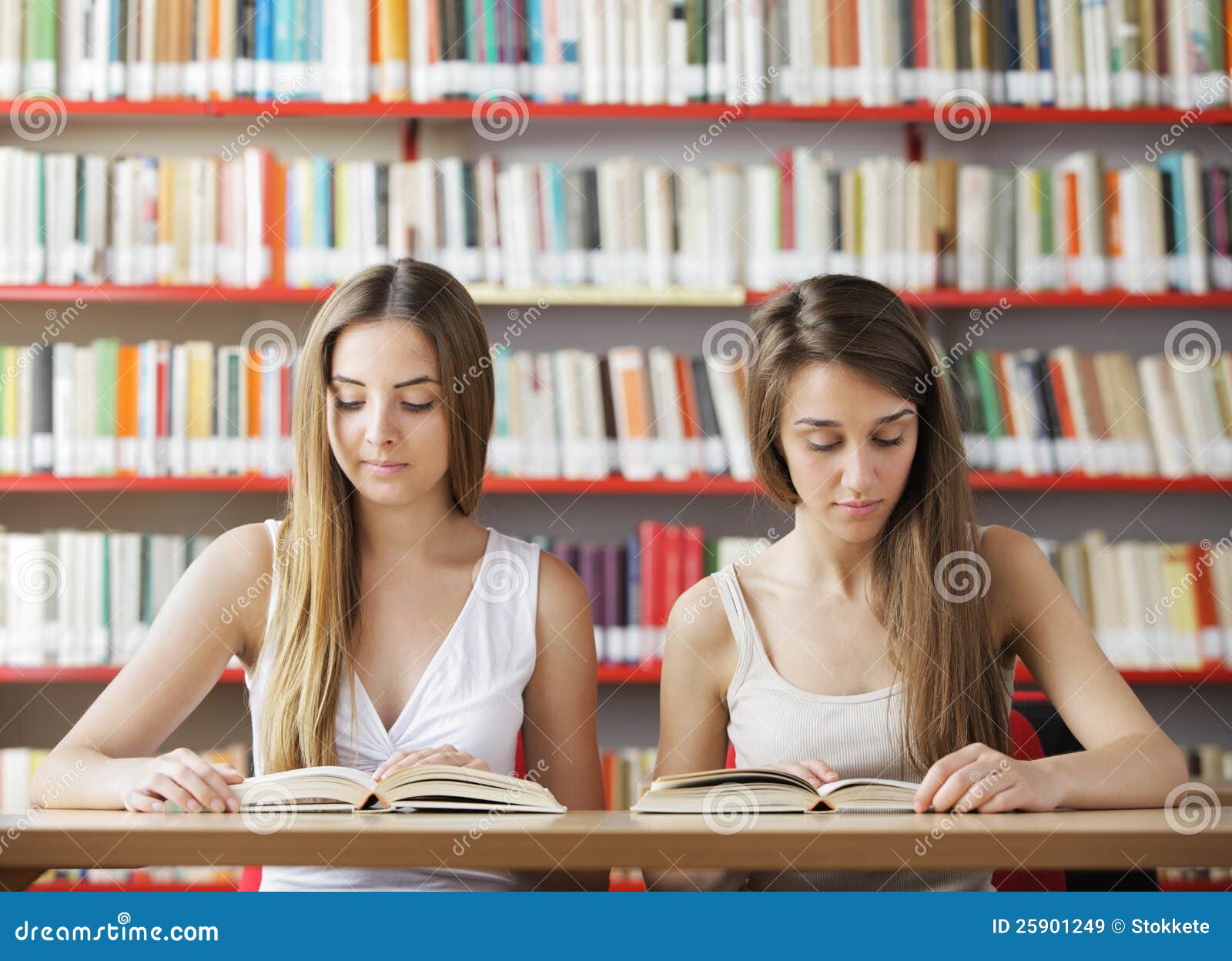 Studying in the library stock image. Image of confidence - 25901249