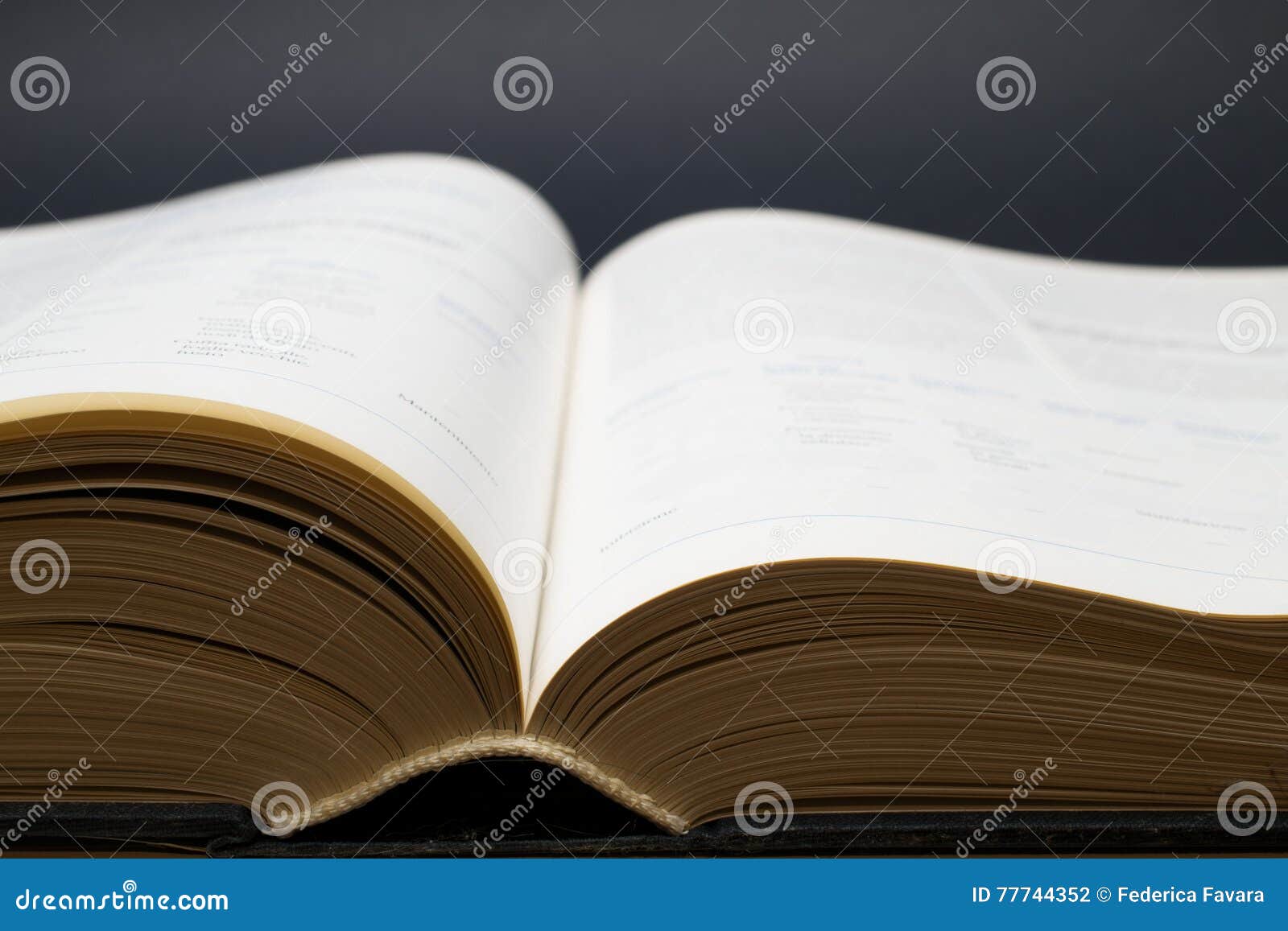 Studying stock photo. Image of thesaurus, bookshelf, open - 77744352