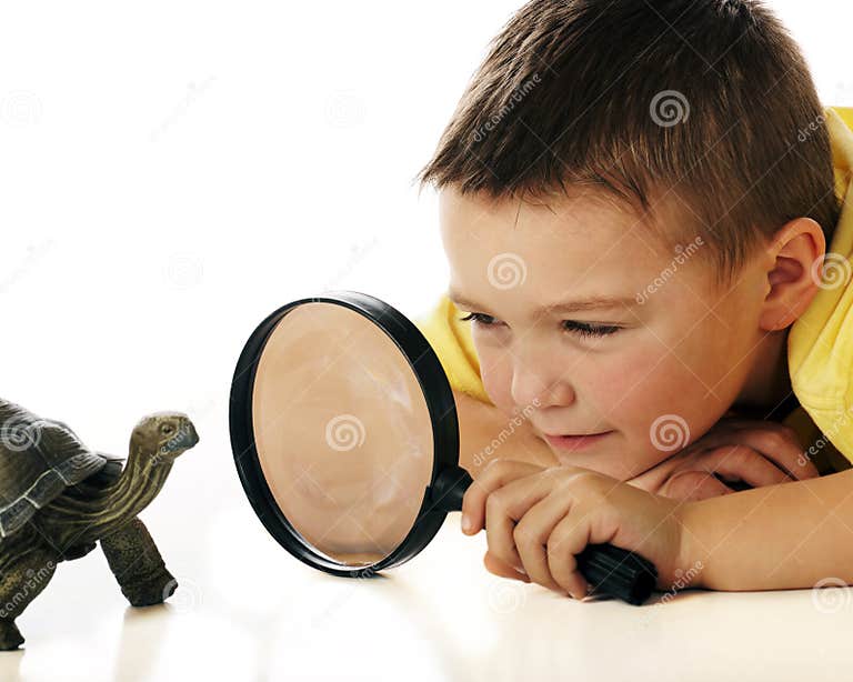 Studying the Turtle stock photo. Image of glass, male - 18937372