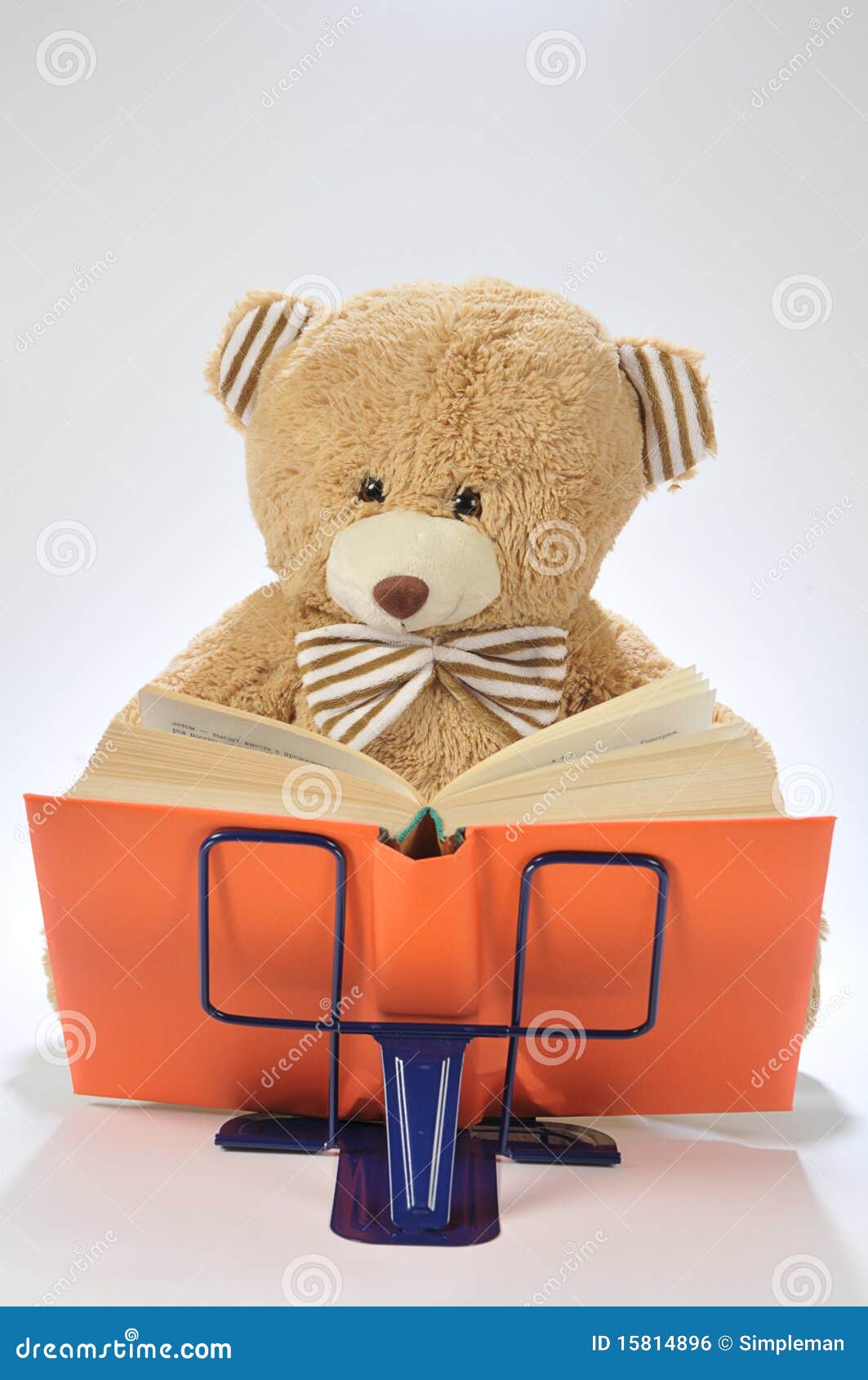 Stuffed Bear Reading a Book Stock Photo - Image of shot, childhood ...