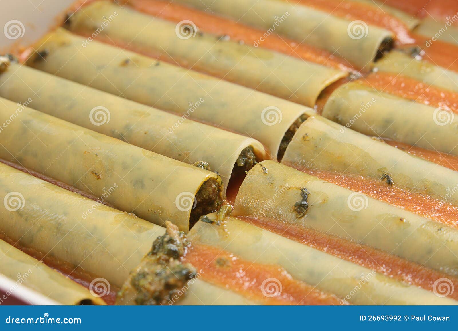 Stuffed cannelloni tubes stock photo. Image of minced - 26693992