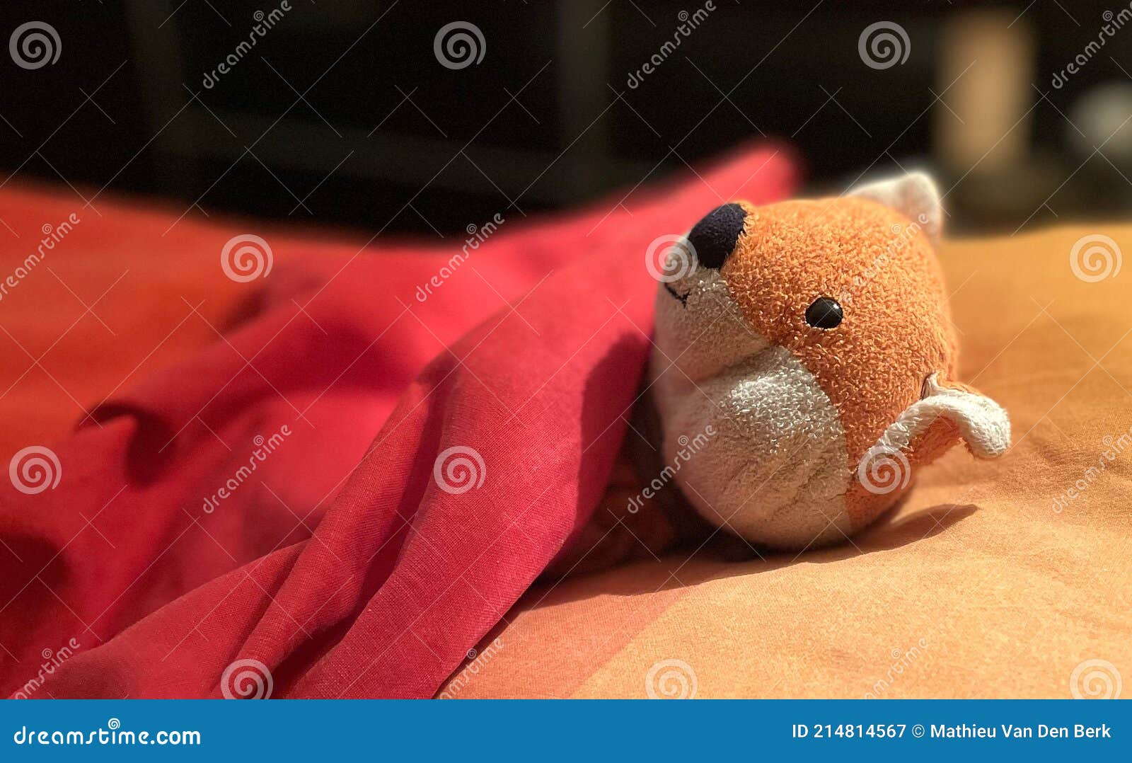 Stuffed Fox Toy in Bed Under the Blanket Stock Image - Image of little ...