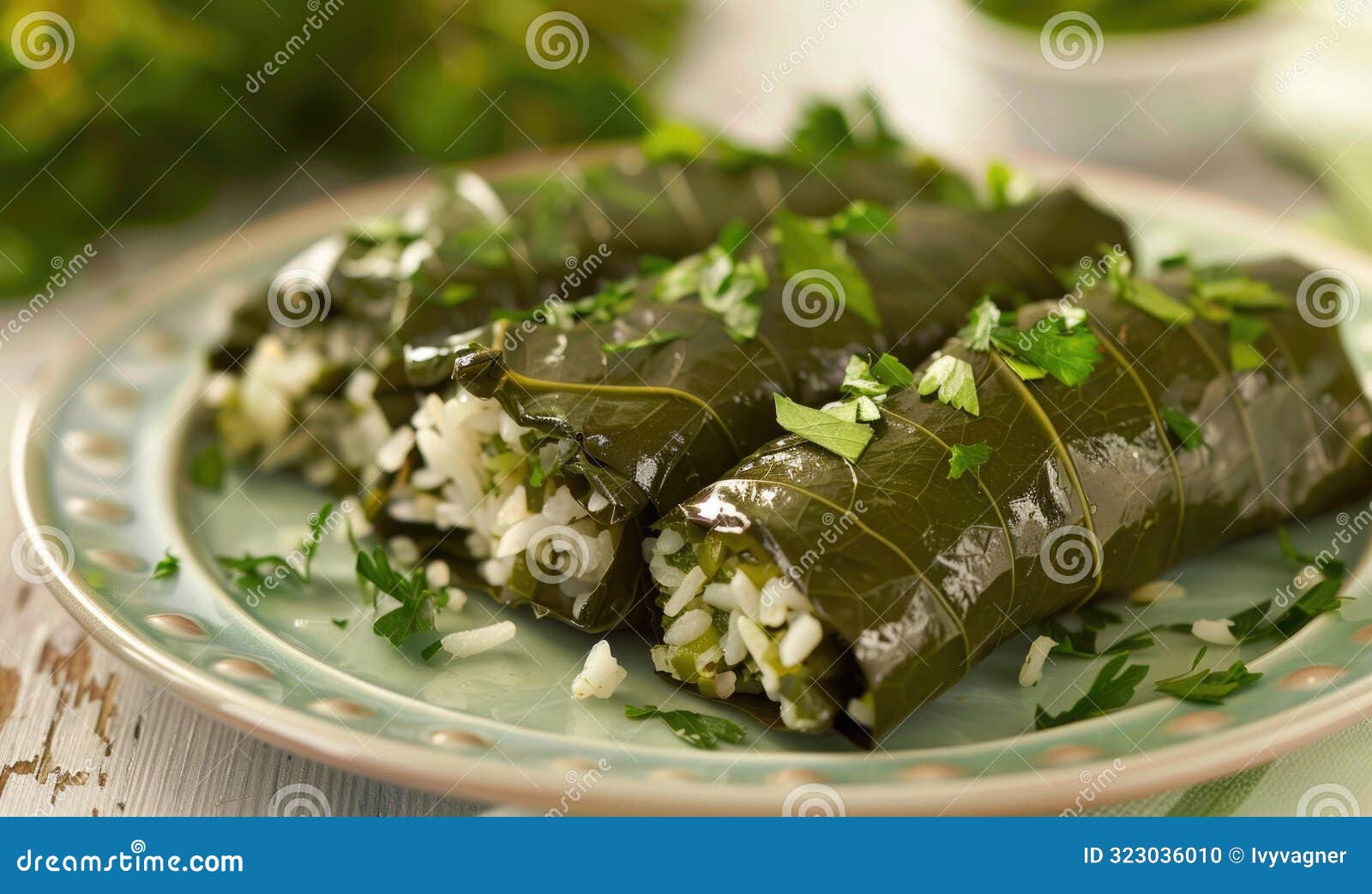 Stuffed Grape Leaves with Rice and Herbs on a Pastel Green Plate Stock ...