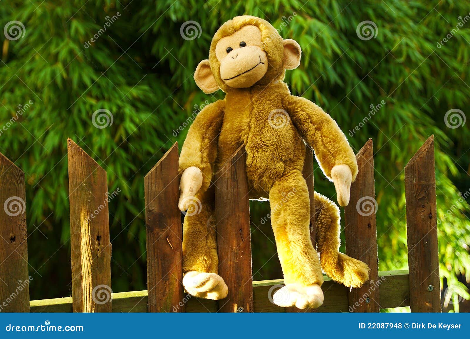 Stuffed Happy Ape Sitting on a Fence in the Sun Stock Photo - Image of ...