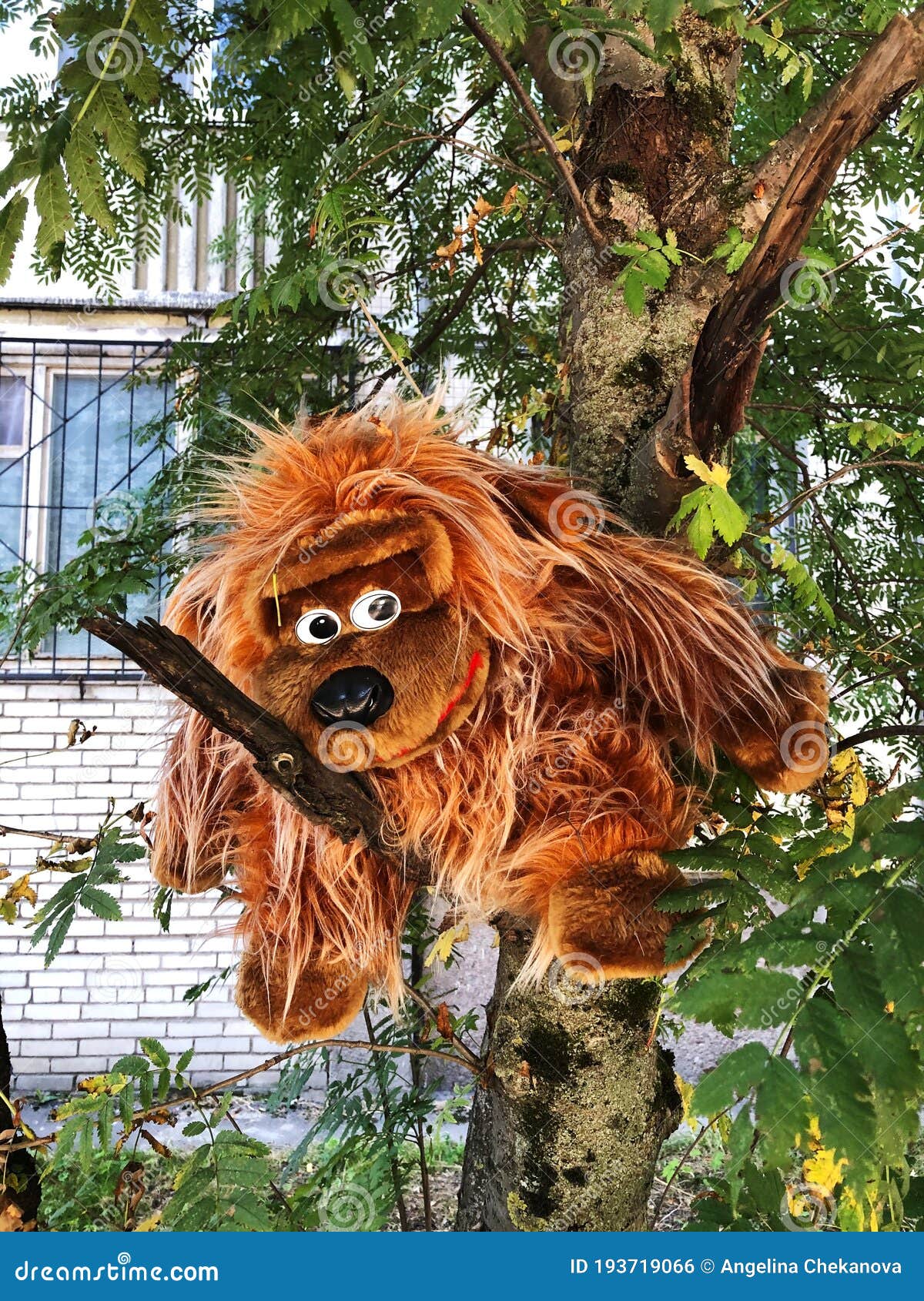 Stuffed Monkey Toy Hanging on a Tree Stock Photo - Image of stuffed ...