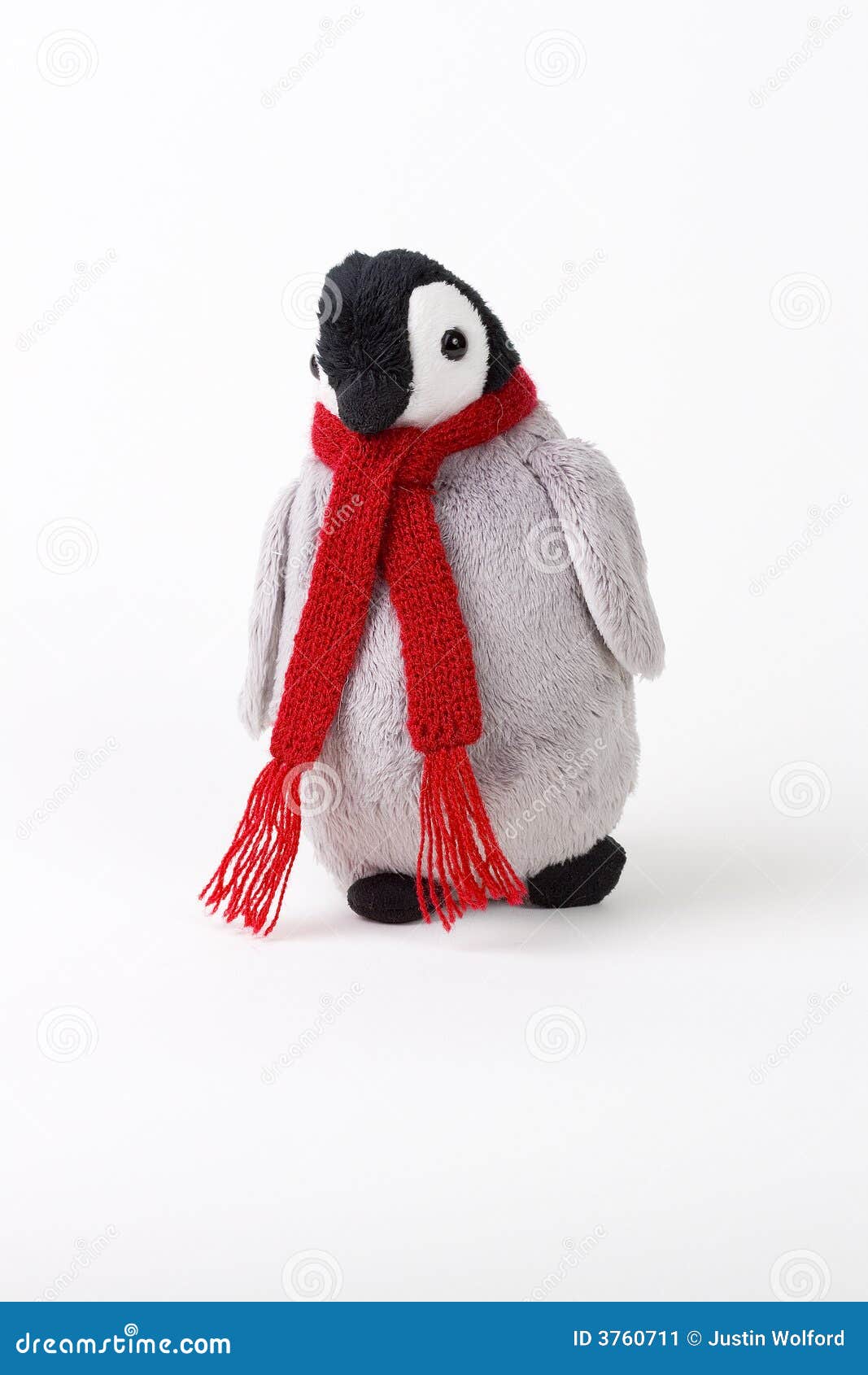 Stuffed penguin stock image. Image of doll, animal, present - 3760711