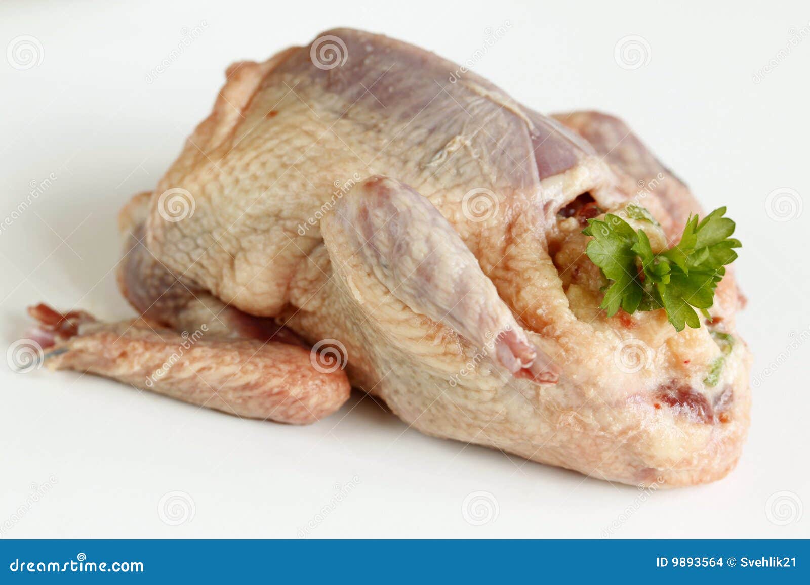 Stuffed pigeon stock photo. Image of cooking, farce, stuffing - 9893564