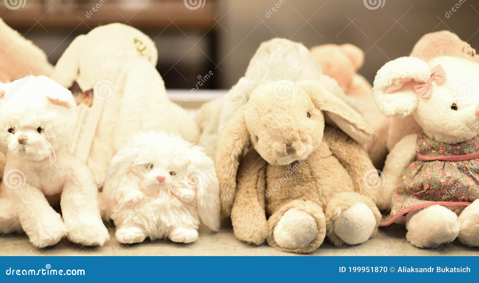 Stuffed Plush Toys Hares on the Shelf Stock Photo - Image of baby, gift ...
