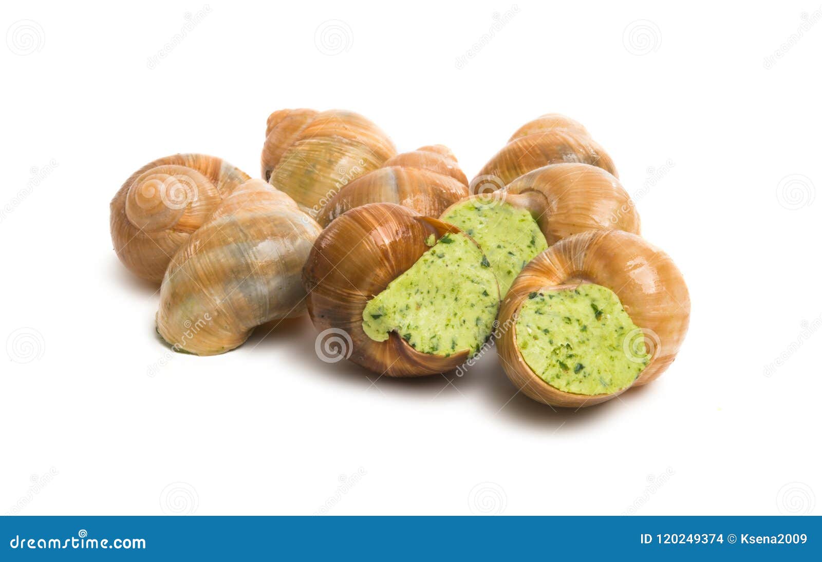 Stuffed snail isolated stock photo. Image of parsley - 120249374