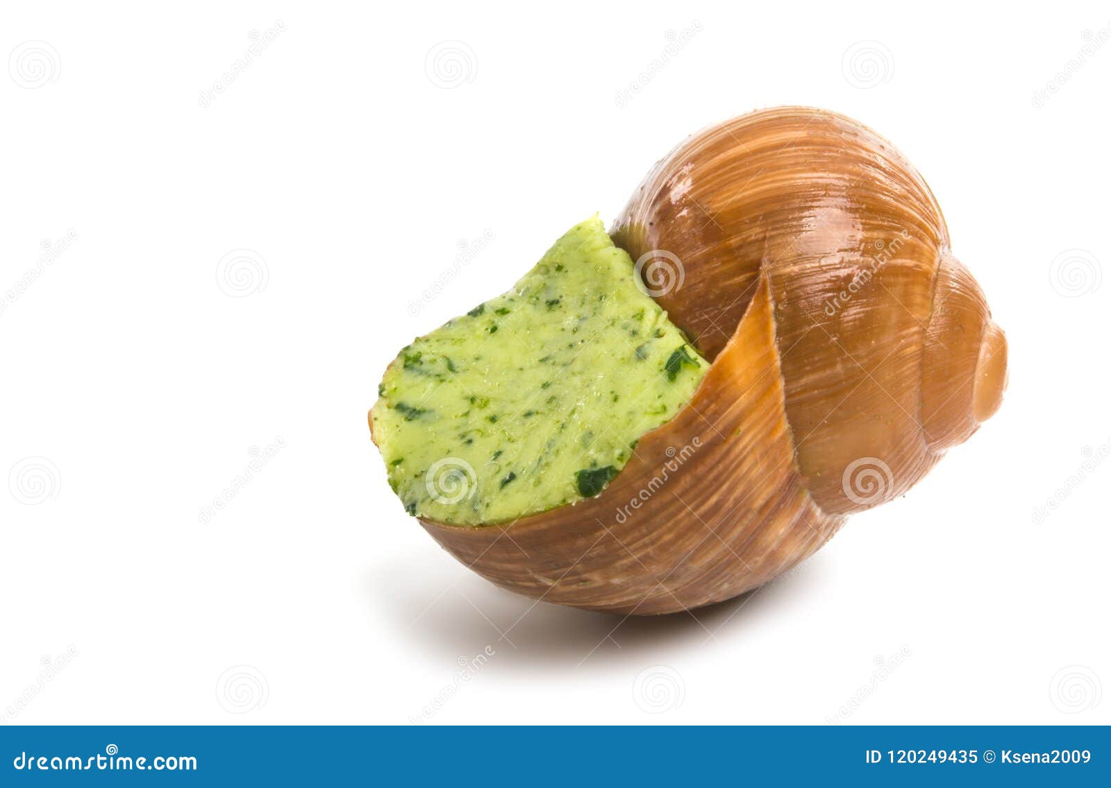 Stuffed snail isolated stock image. Image of group, garlic - 120249435