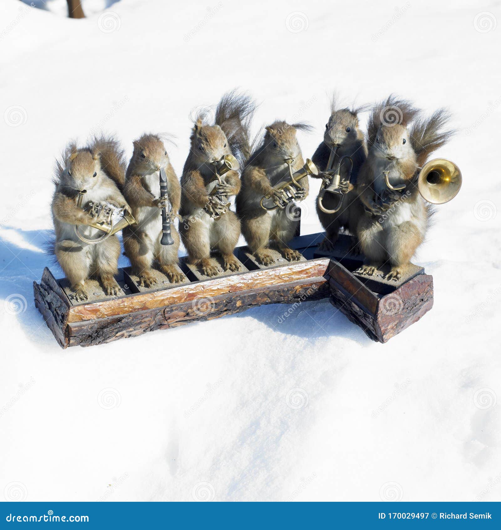 Stuffed squirrels band stock image. Image of animals - 170029497